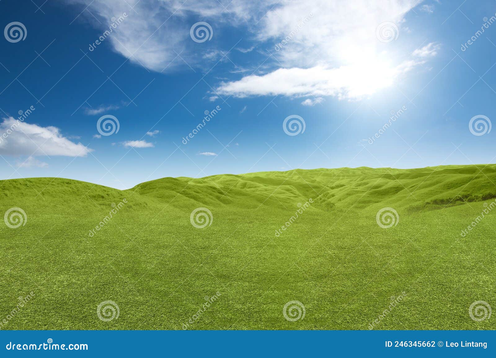 Meadow field stock photo. Image of scene, bright, nature - 246345662