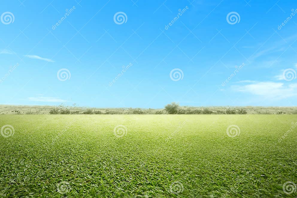 Meadow field stock photo. Image of land, landscape, scenic - 270433558