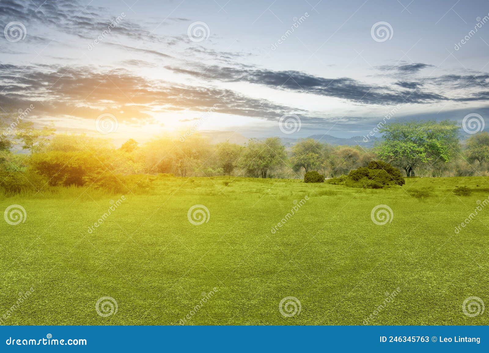 Meadow field stock image. Image of season, environment - 246345763