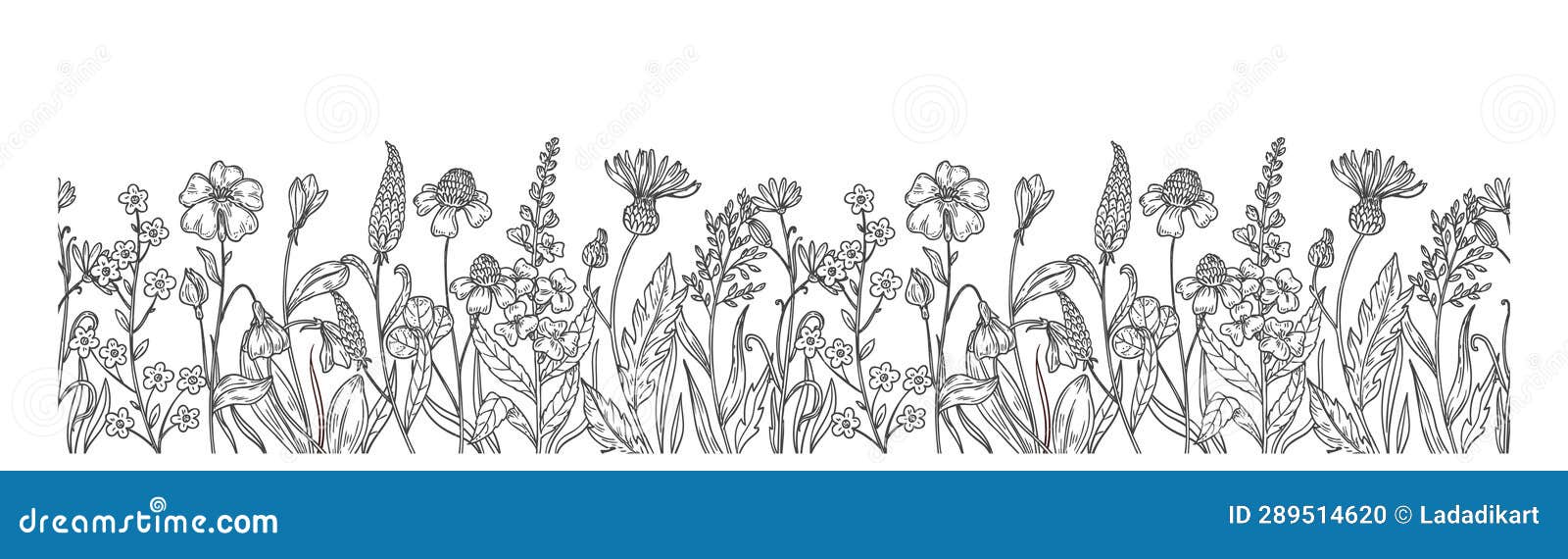 Meadow Flowers Border. Hand Drawn Growing Herbs Stock Illustration ...