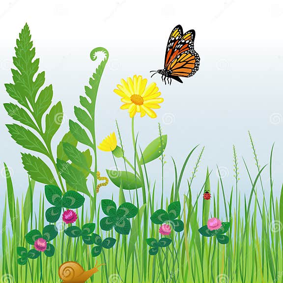 Meadow Flowers and Insects/eps Stock Vector - Illustration of flora ...