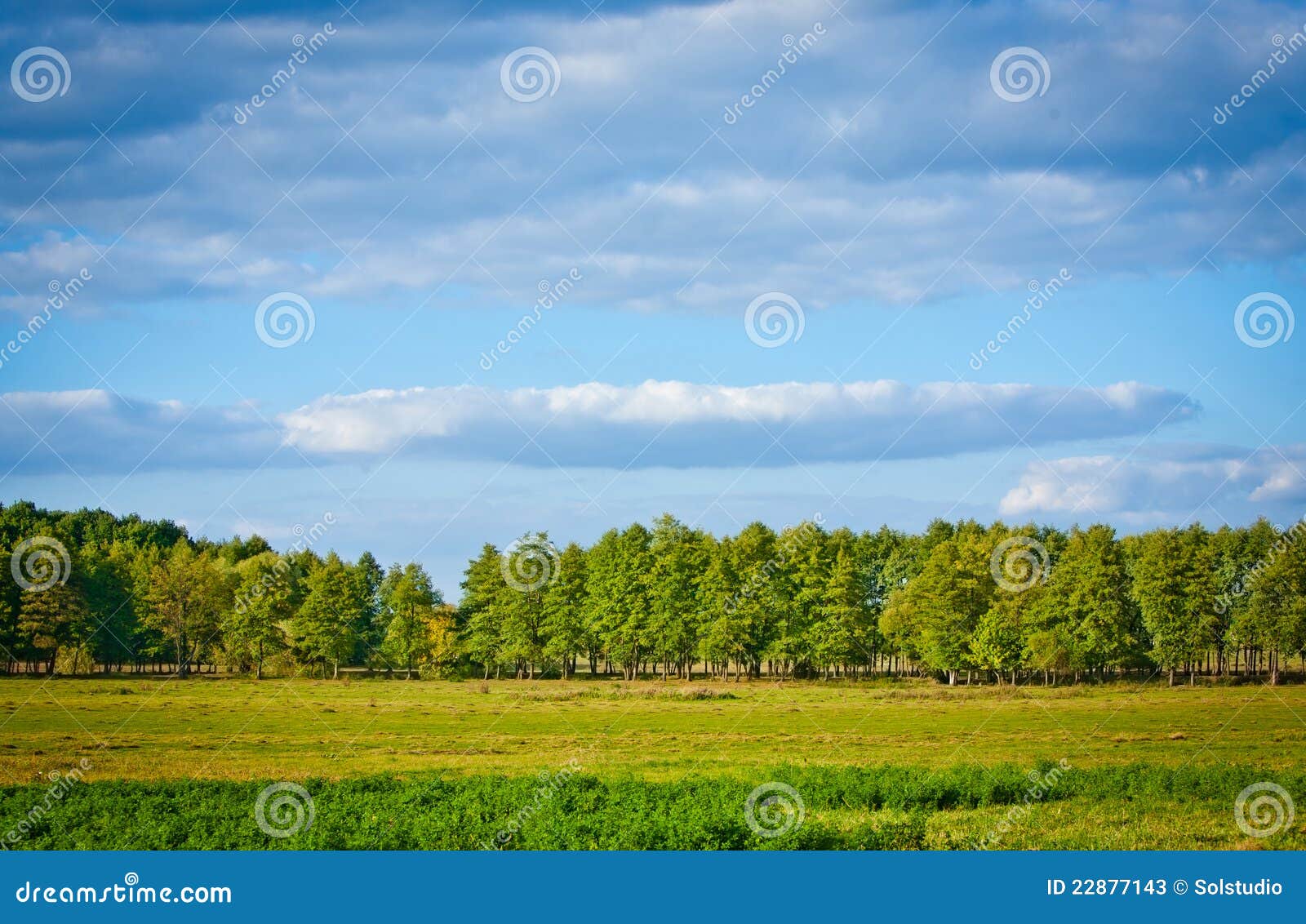Meadow and forest stock image. Image of pastures, agriculture - 22877143