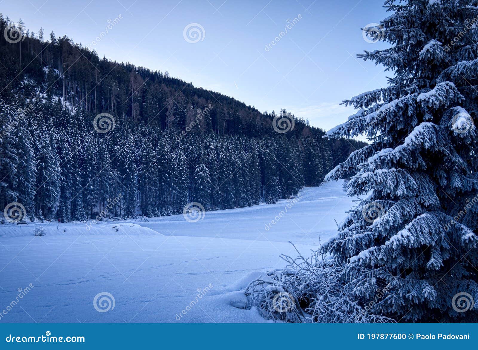 Cold winter meadow stock photo. Image of italy, tourists - 197877600