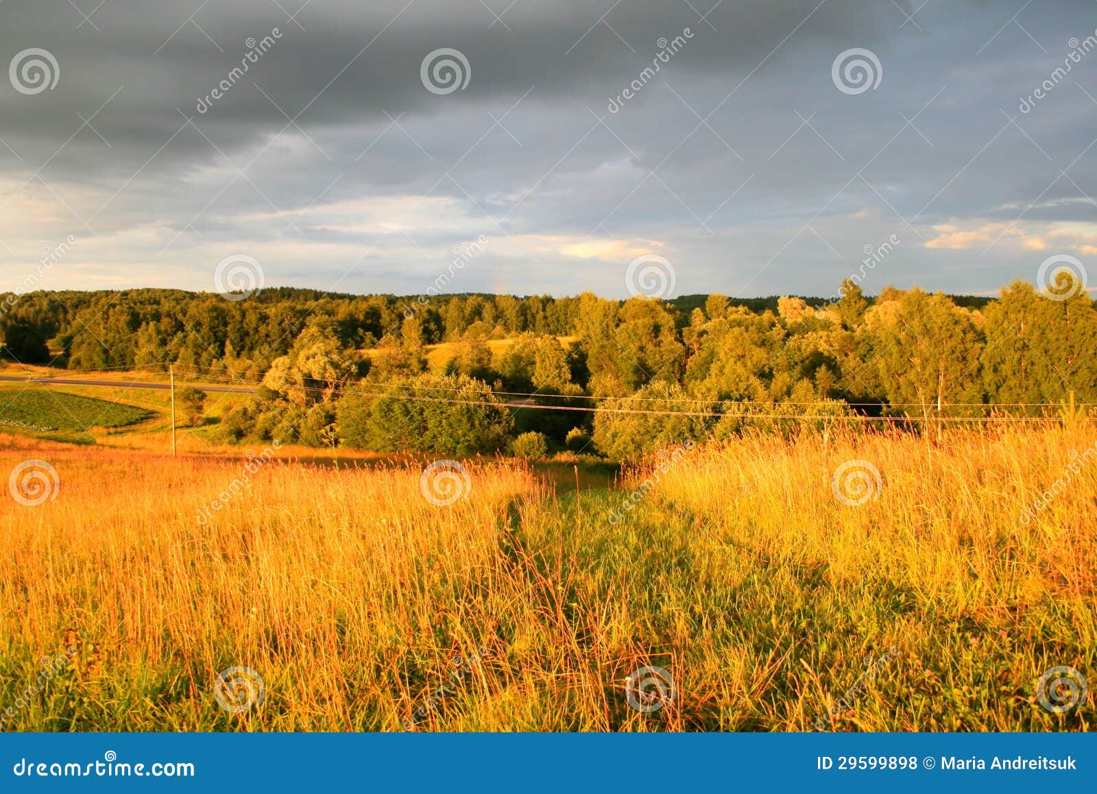 Meadow and Forest at Sunset Stock Photo - Image of landscape, active ...