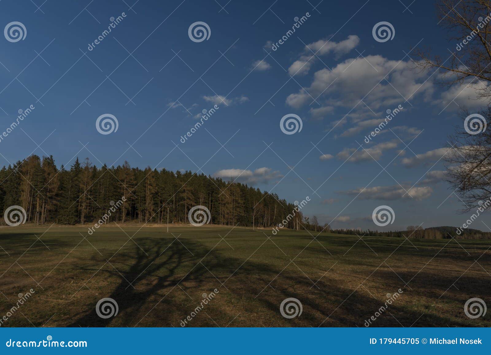 Meadow and Forest in Sunset Evening with Long Shadows and Blue Sky ...