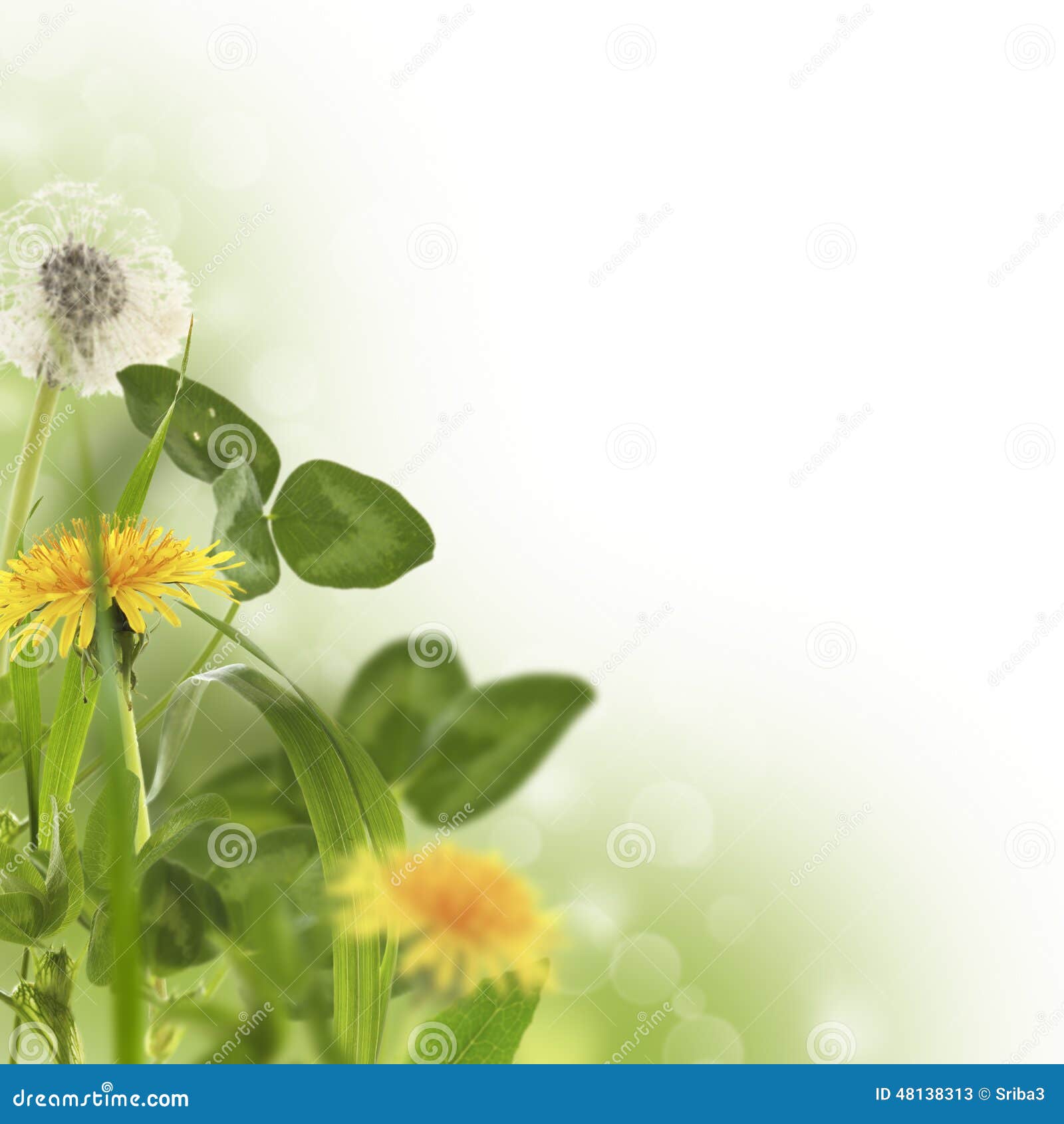 Meadow Grass and Flowers. Collage. Stock Image - Image of beam, green ...