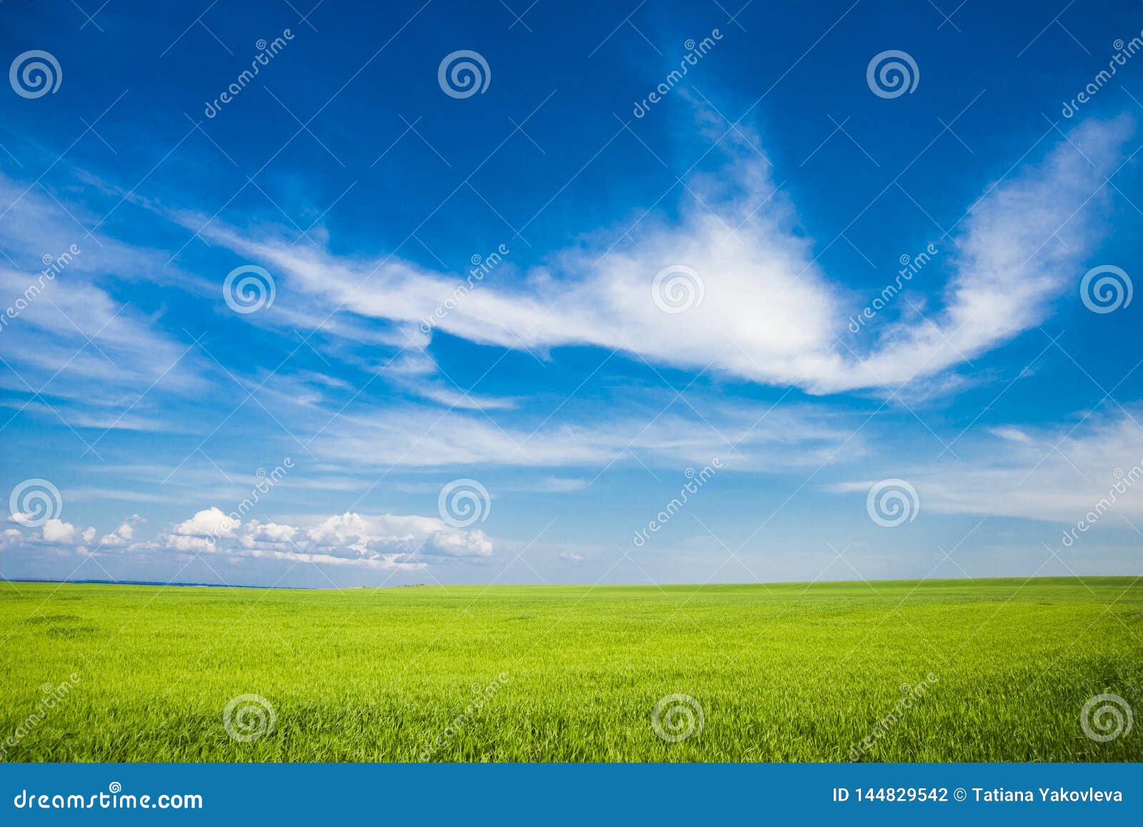 Meadow on the Background of Blue Sky Stock Photo - Image of season ...