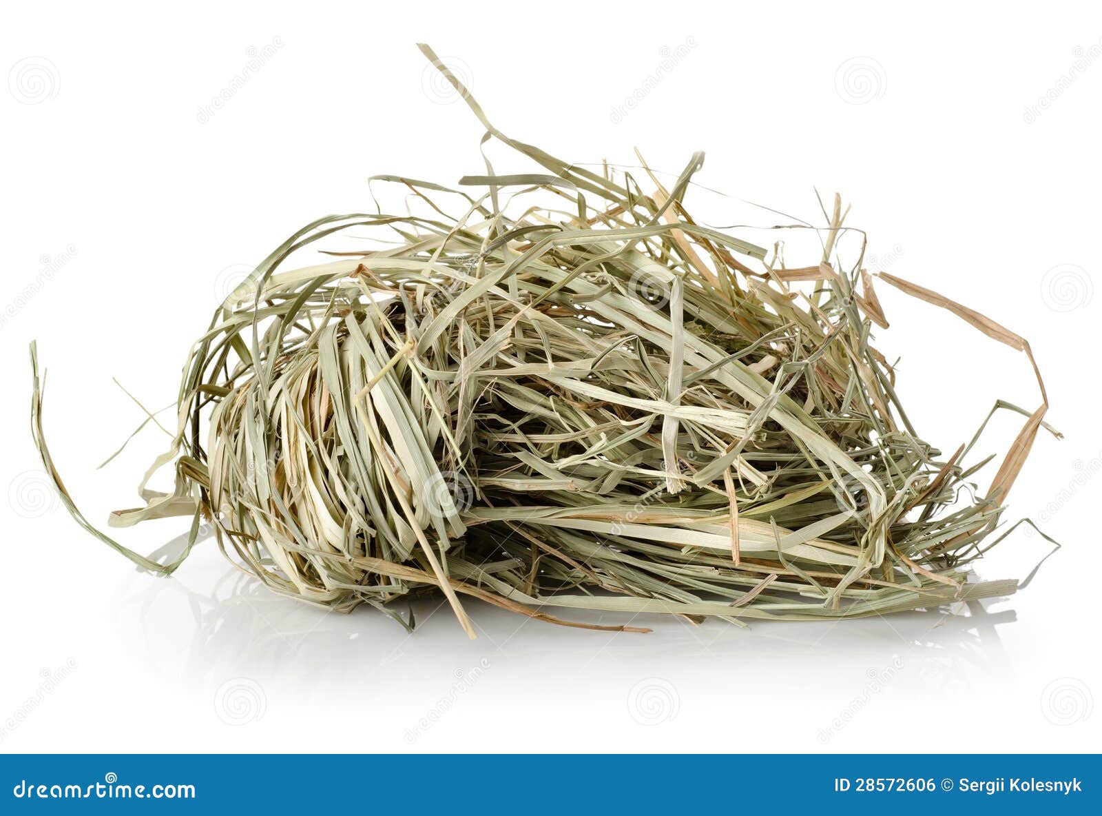 Meadow hay stock photo. Image of plants, nest, bunch - 28572606