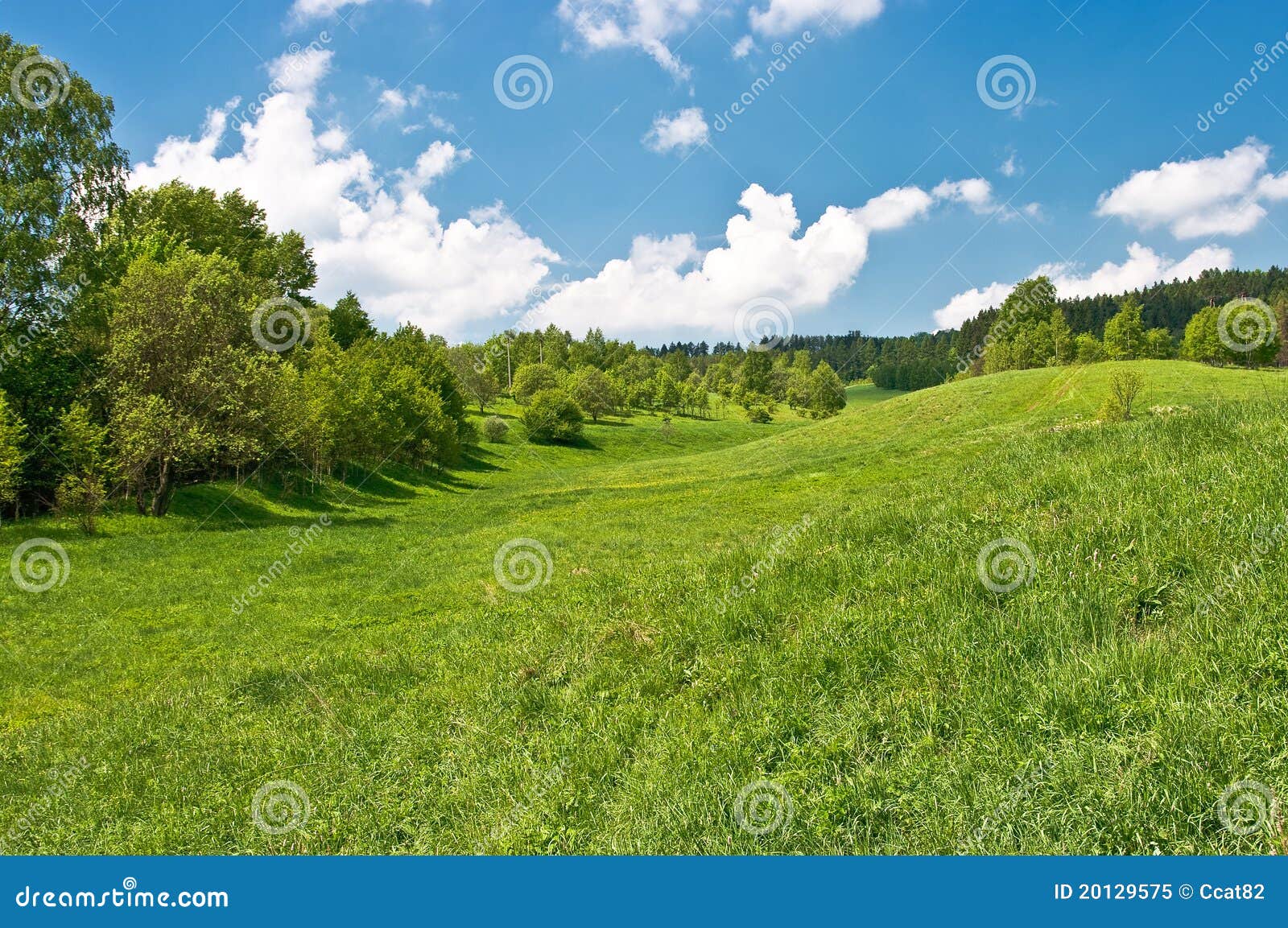 Meadow in the hills stock image. Image of forest, panorama - 20129575