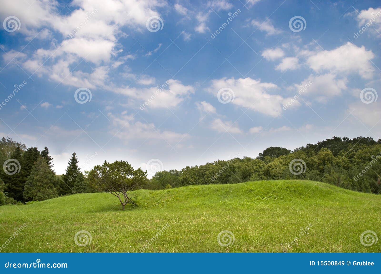 Meadow landscape stock image. Image of field, nature - 15500849