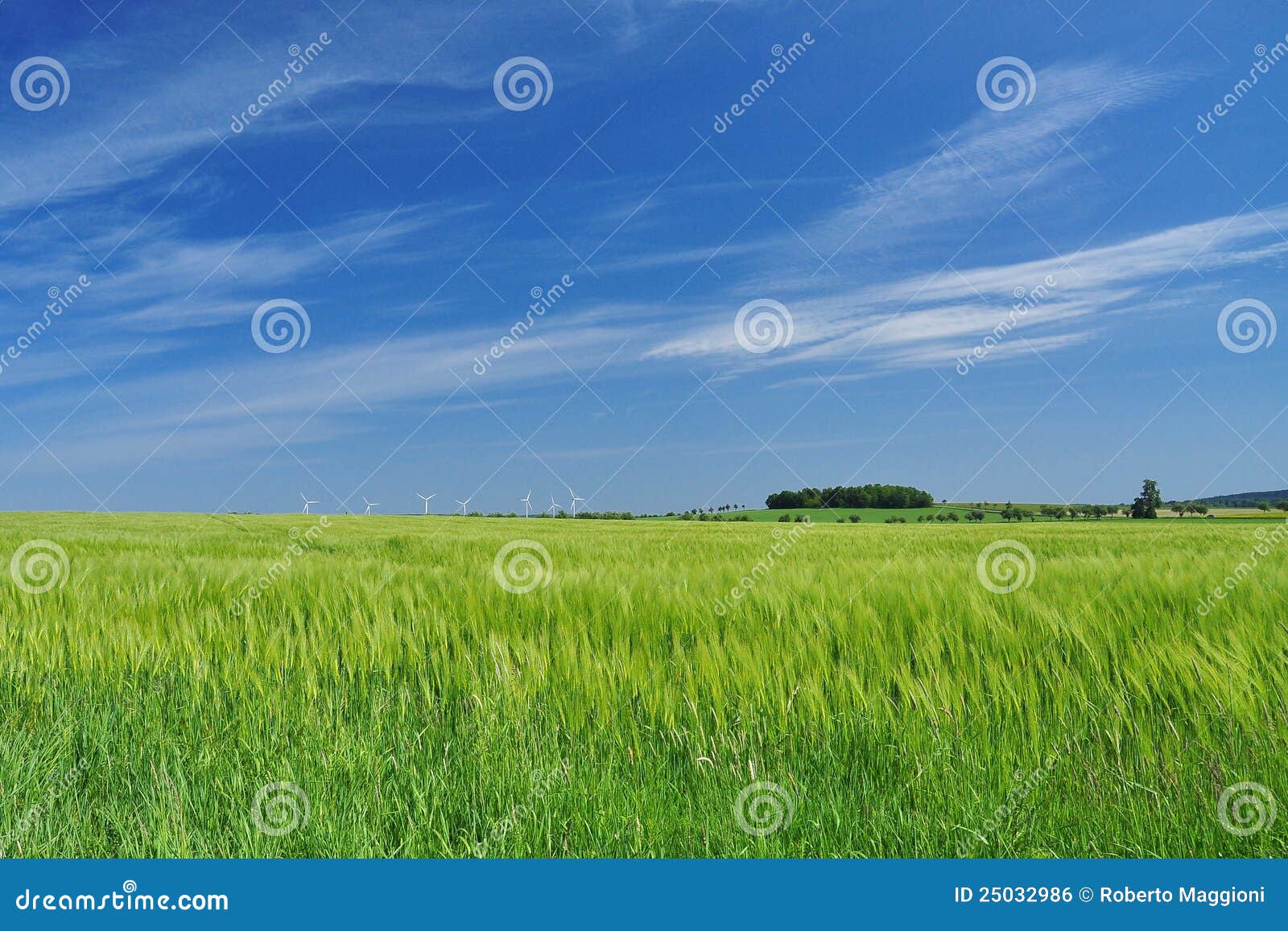 Meadow Landscape, Blue Sky, Saxony, Germany Stock Photo - Image of ...