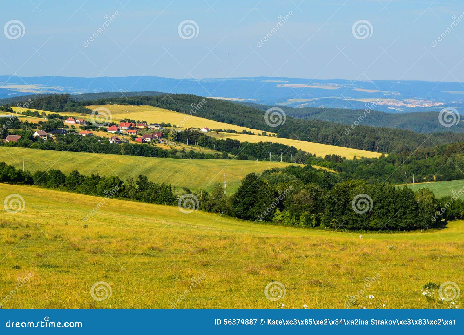 Meadow landscape stock image. Image of czech, field, landscape - 56379887