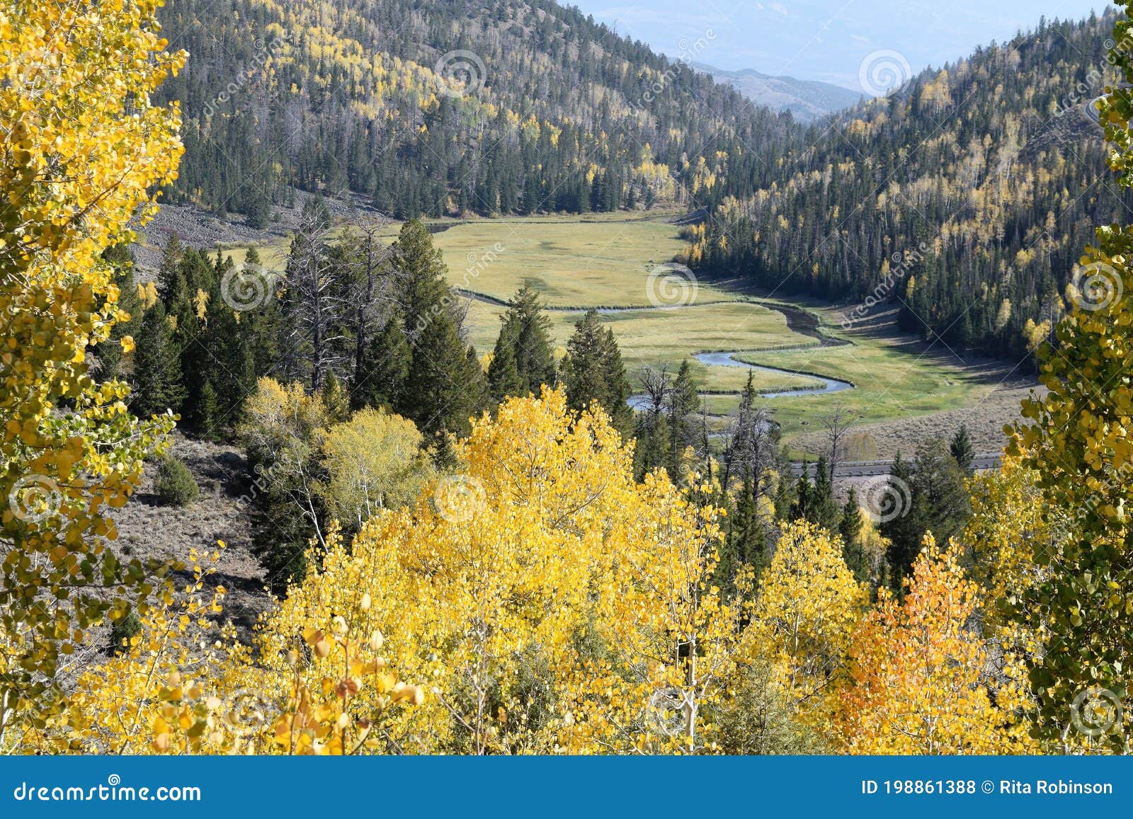 Meadow in the MIddle of Fall Forest Stock Photo - Image of fall ...