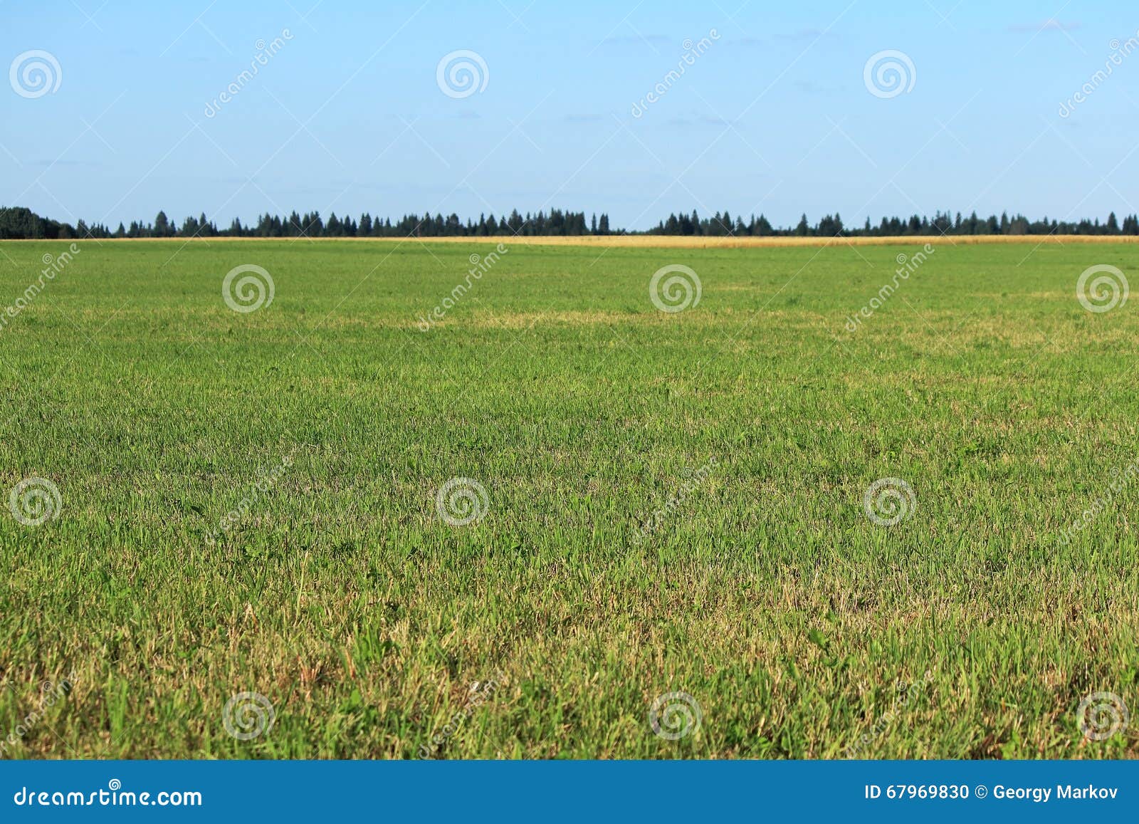 Meadow of mowed grass stock photo. Image of agriculture - 67969830