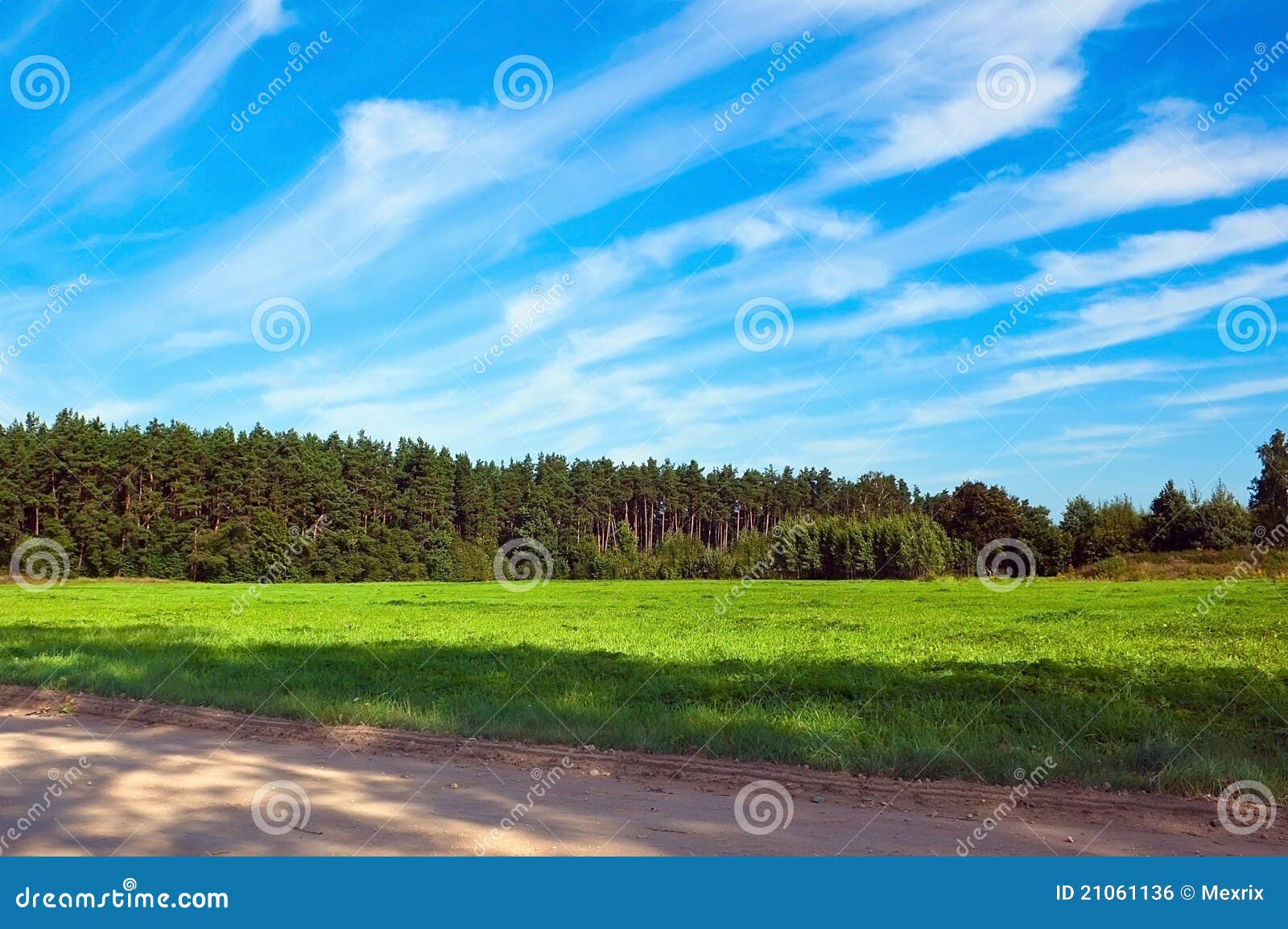 Meadow near forest stock photo. Image of nature, fresh - 21061136