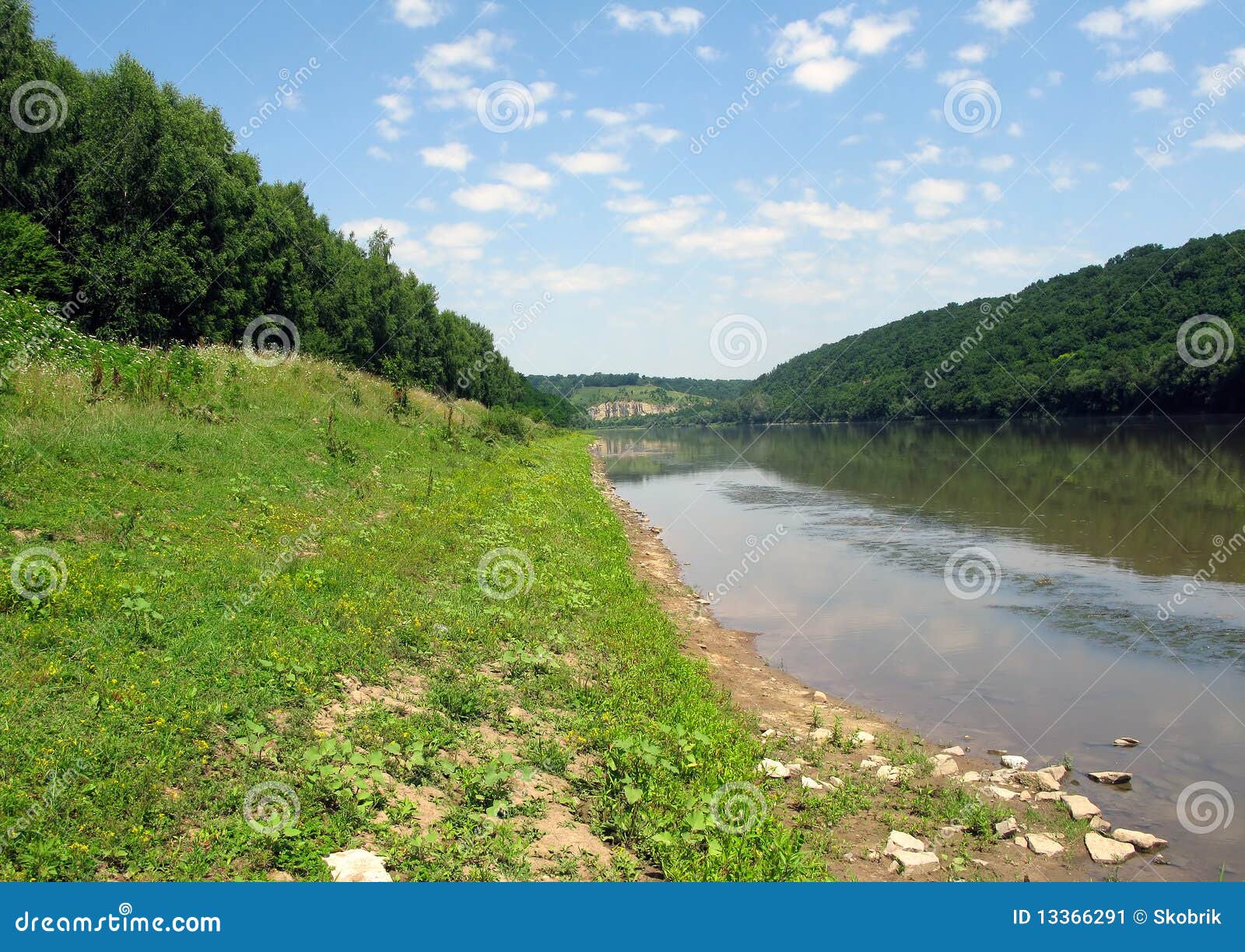 Meadow near the river stock image. Image of floral, meadow - 13366291