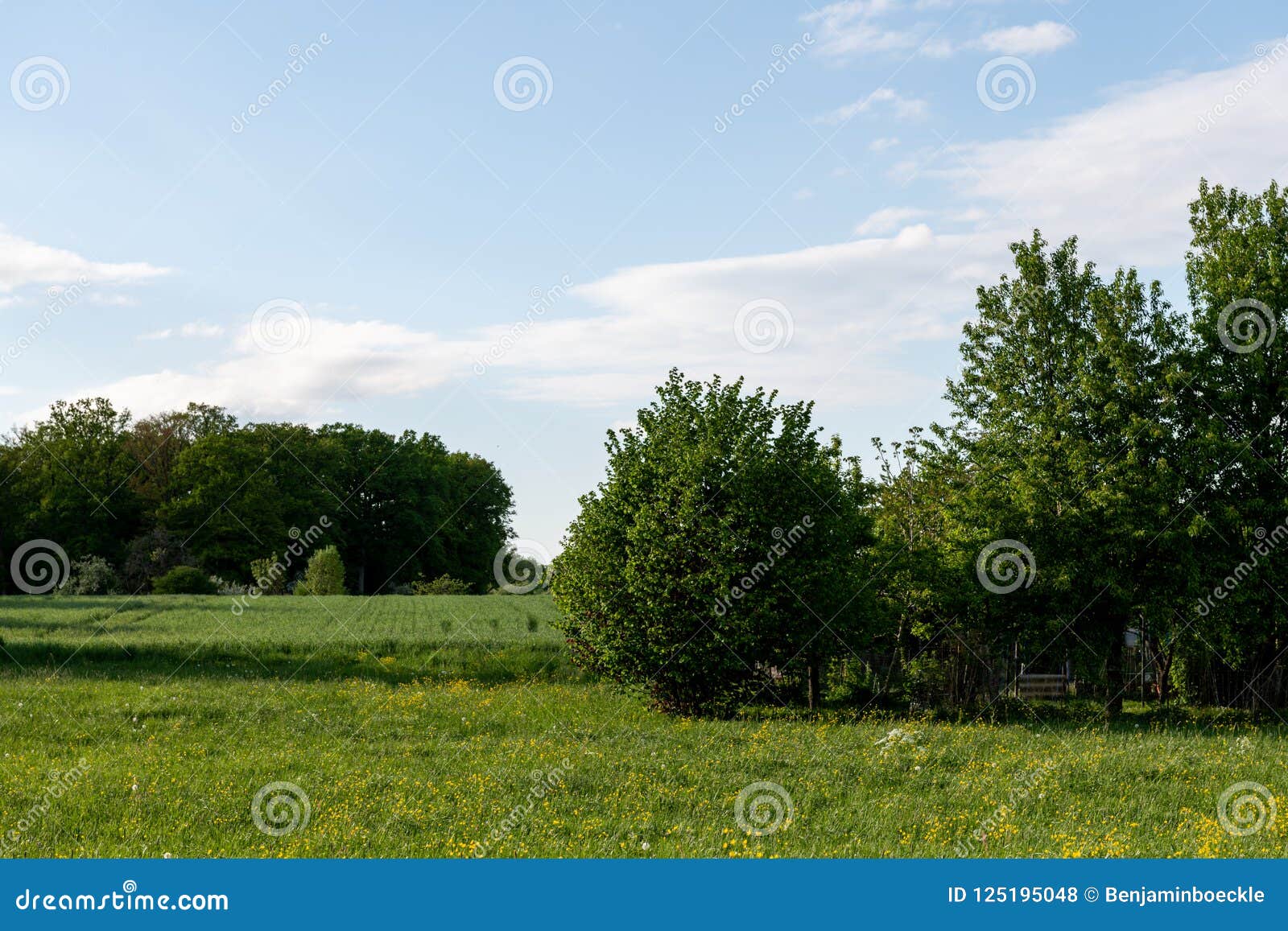 Meadow Orchards in Late Spring Time in Germany Stock Photo - Image of ...