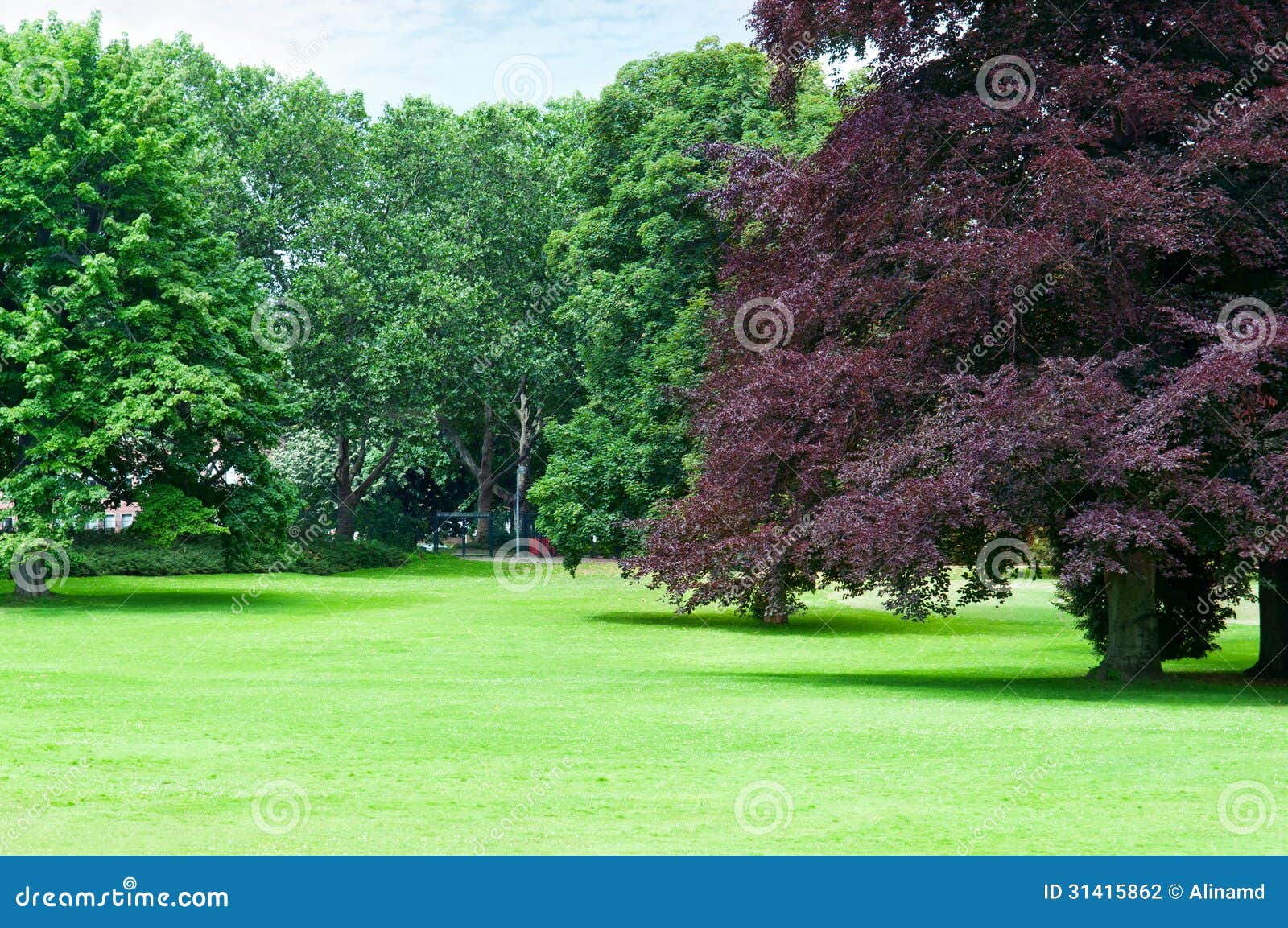 Meadow in the park stock photo. Image of meadow, clouds - 31415862
