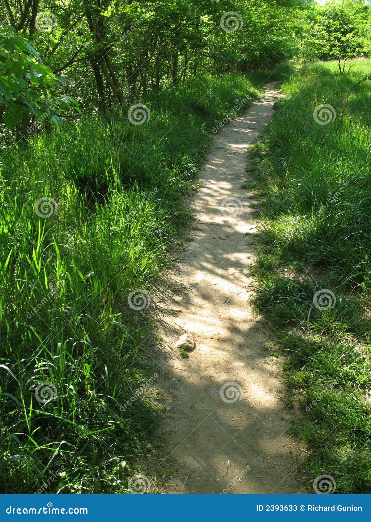 Meadow Path stock image. Image of grass, nature, meadow - 2393633