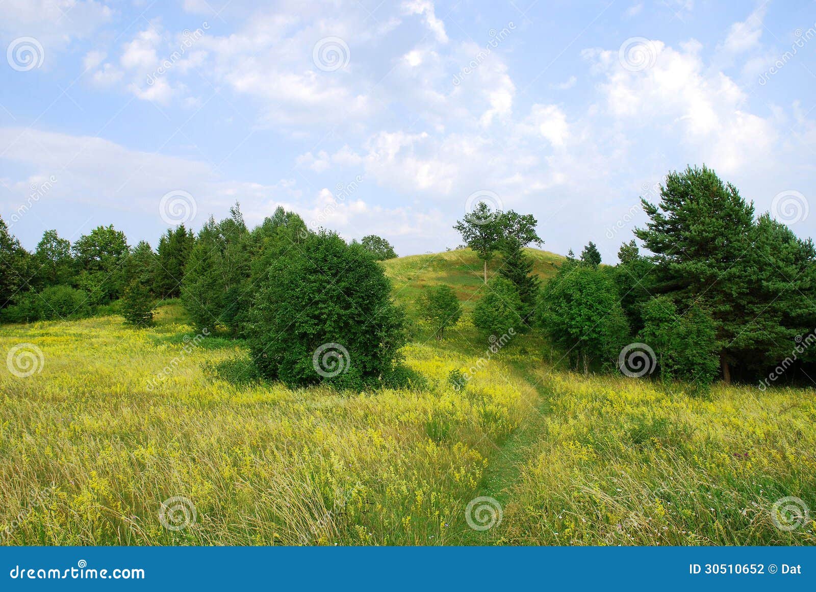 Meadow path stock photo. Image of blue, hill, blossoming - 30510652