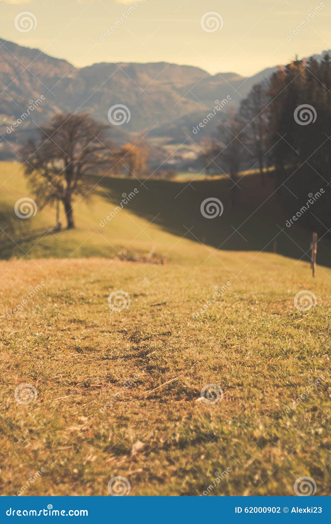 Meadow path stock photo. Image of rolling, autumn, meadow - 62000902