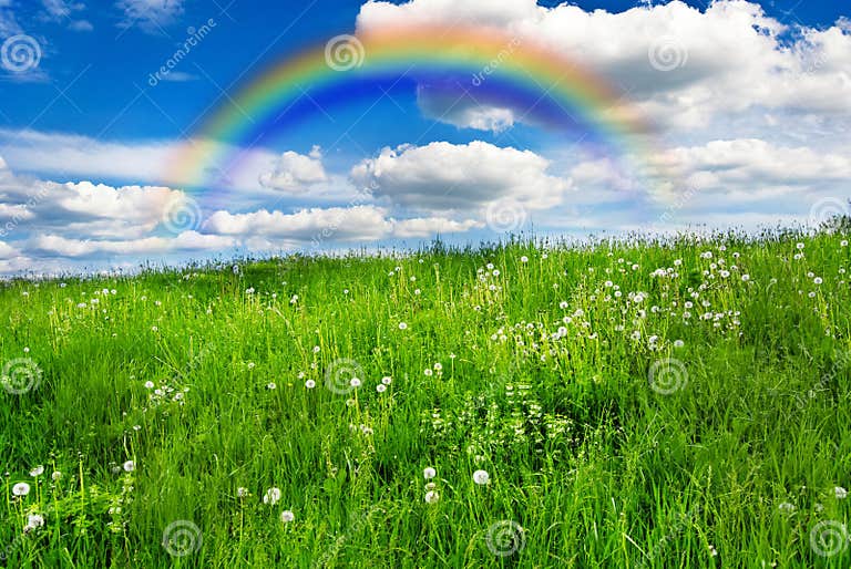 Meadow with rainbow stock photo. Image of copy, colorful - 14229260