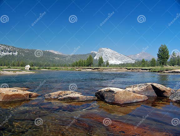 Meadow river stock photo. Image of water, national, stepping - 16928358