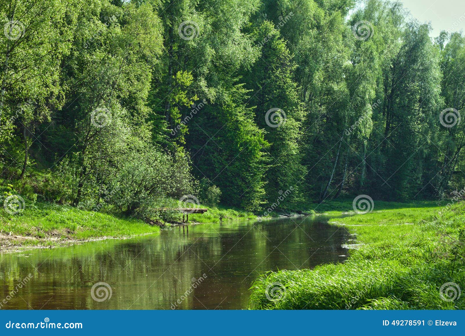 Meadow on riverbank stock image. Image of foliage, meadow - 49278591