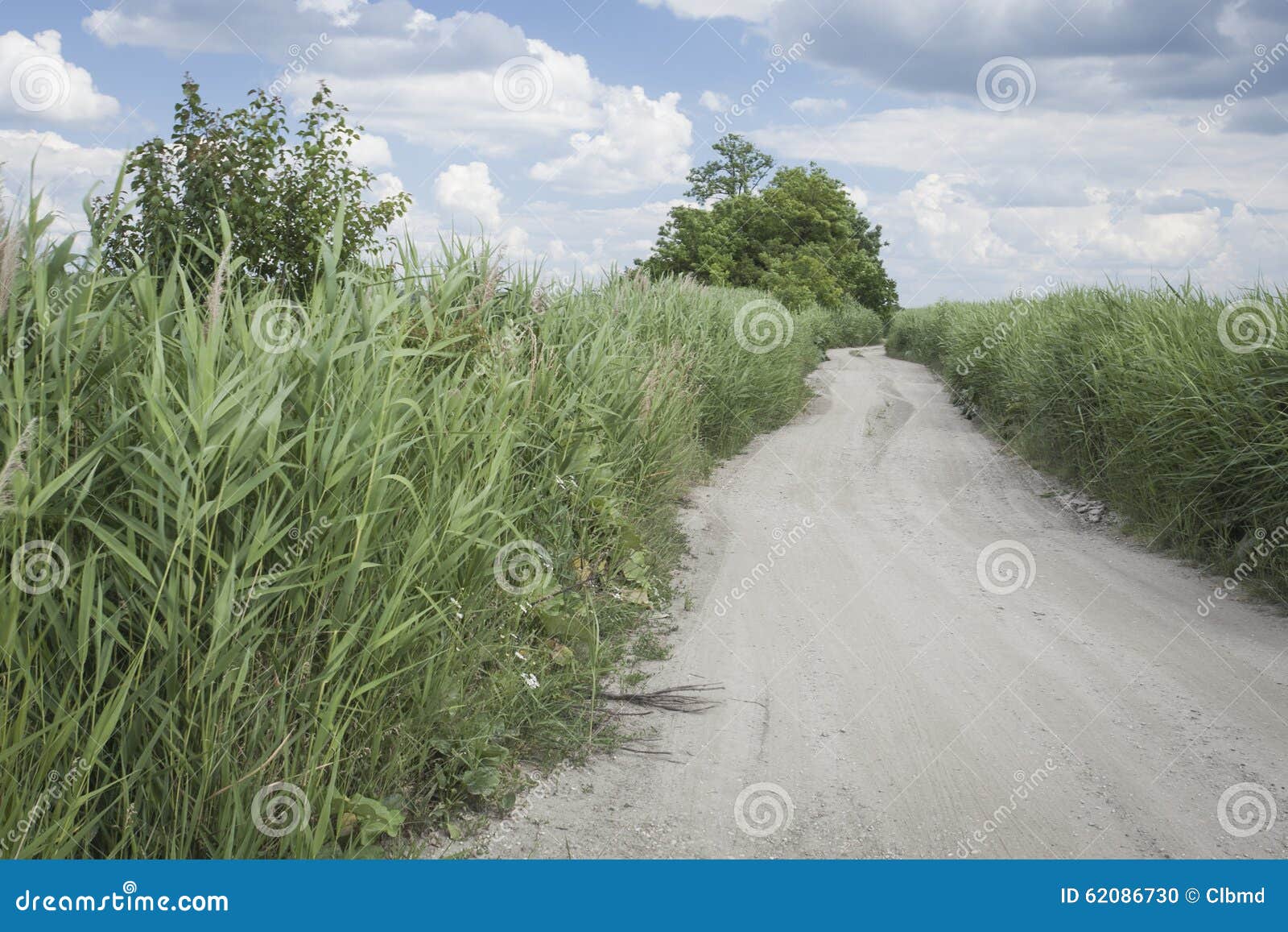 Meadow road stock photo. Image of meadow, village, slovakia - 62086730
