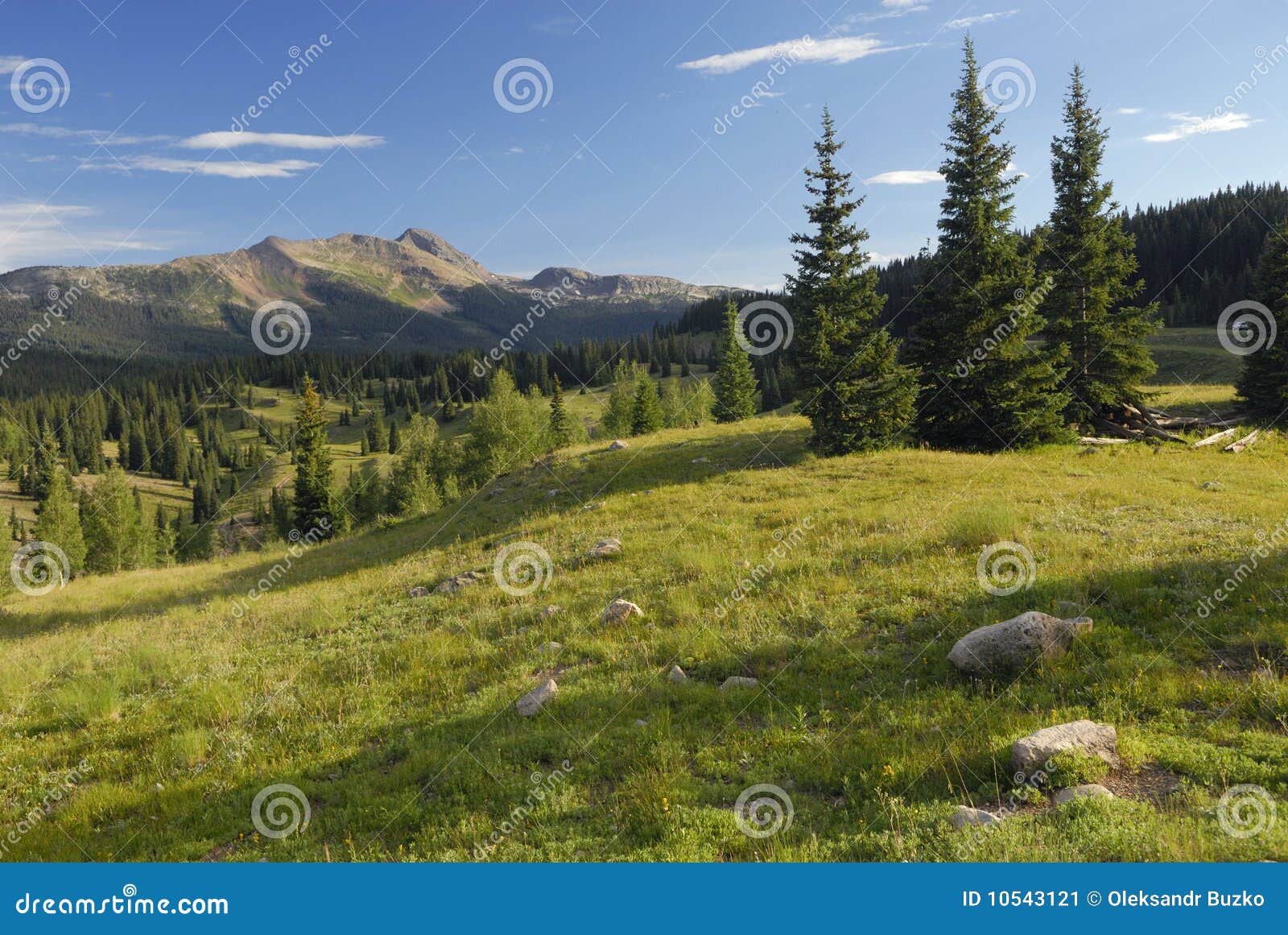 Meadow in San Juan Mountains in Colorado Stock Image - Image of clouds ...