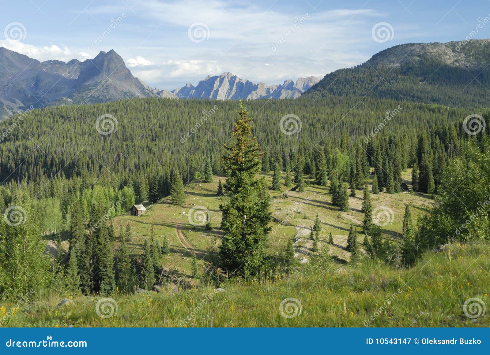 Meadow in San Juan Mountains in Colorado Stock Image - Image of outdoor ...