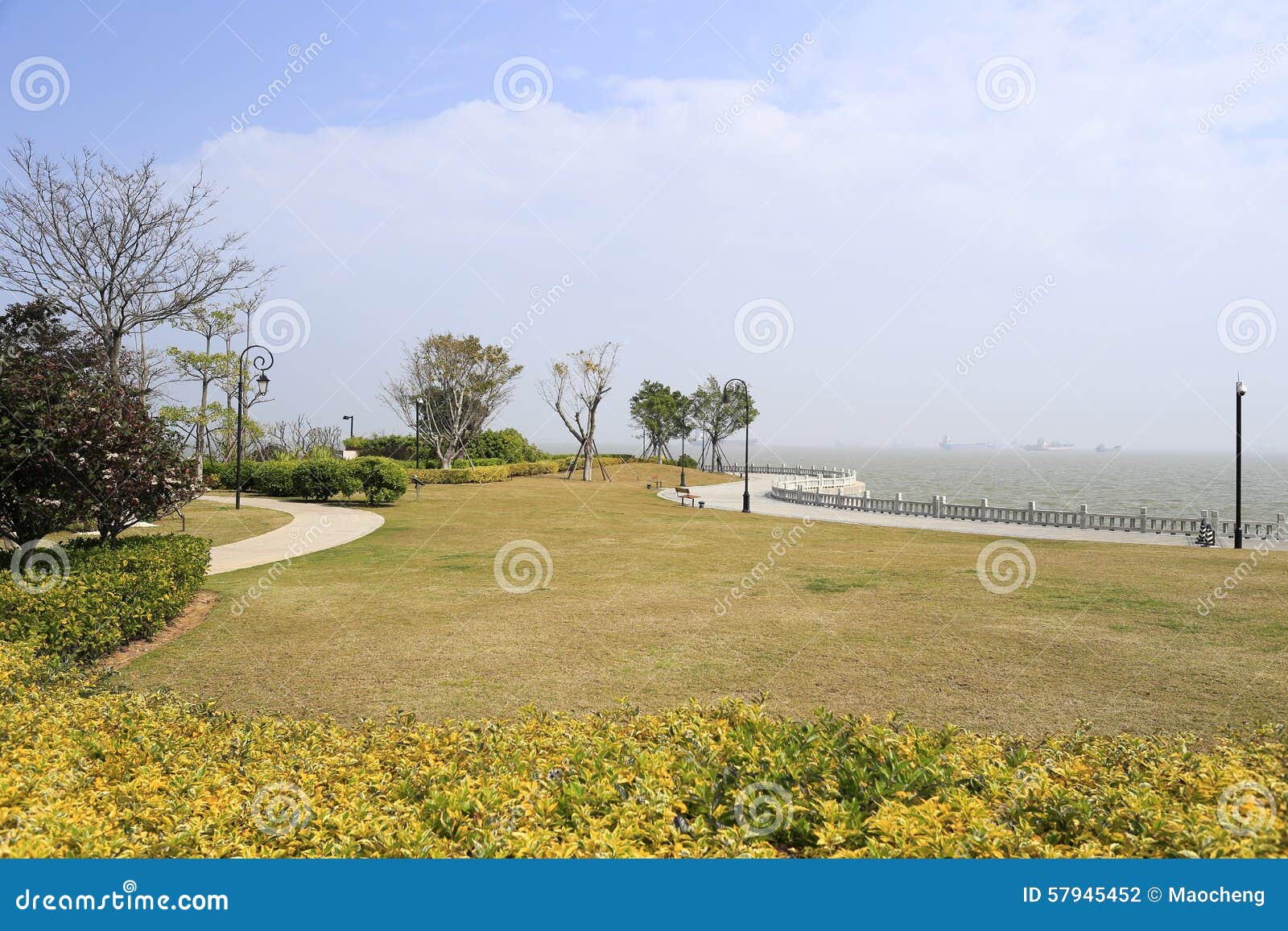 Meadow at seaside stock photo. Image of natural, emptiness - 57945452