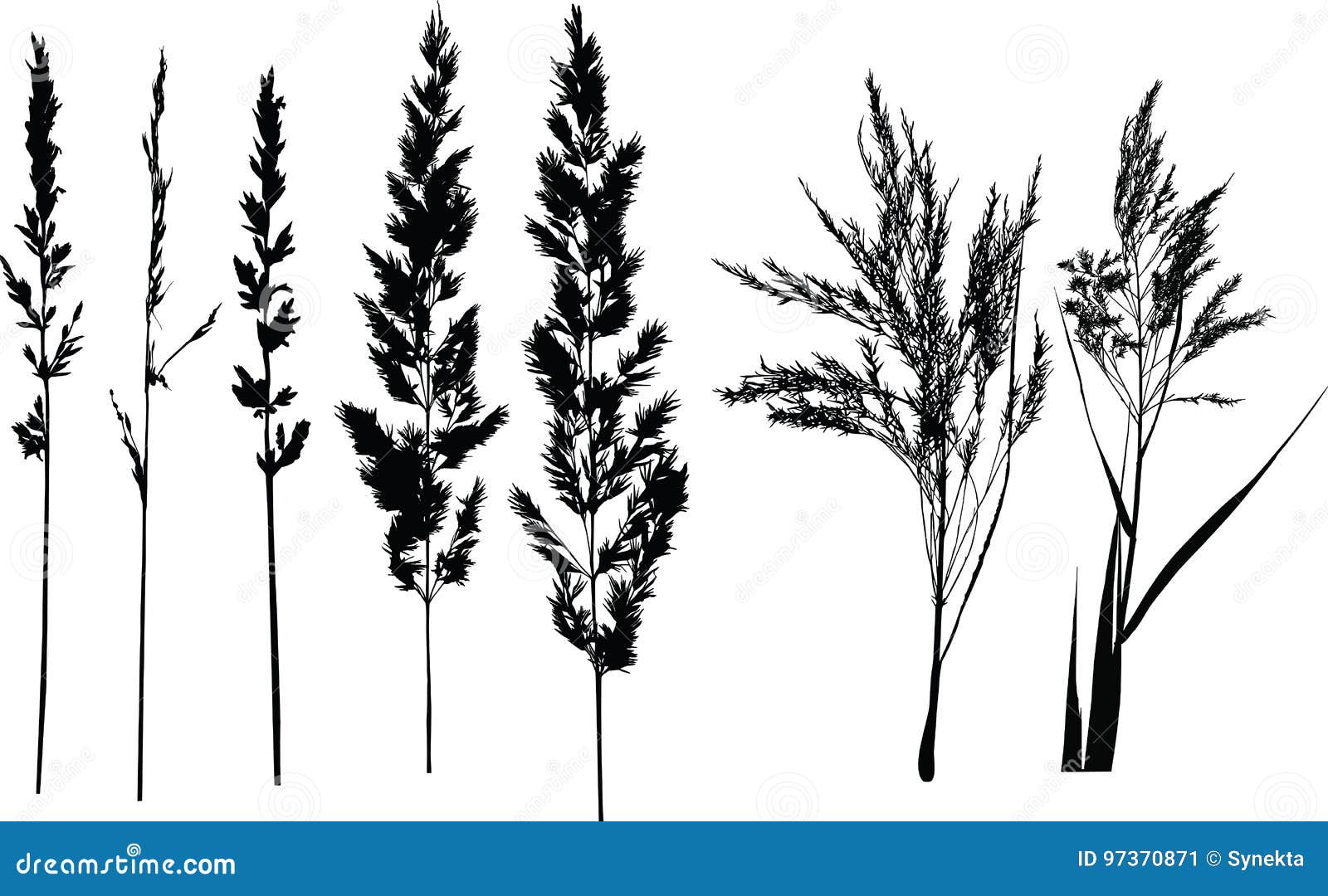 Silhouettes Of Grass And Wild Weeds, Field. Plants Are Separated From ...