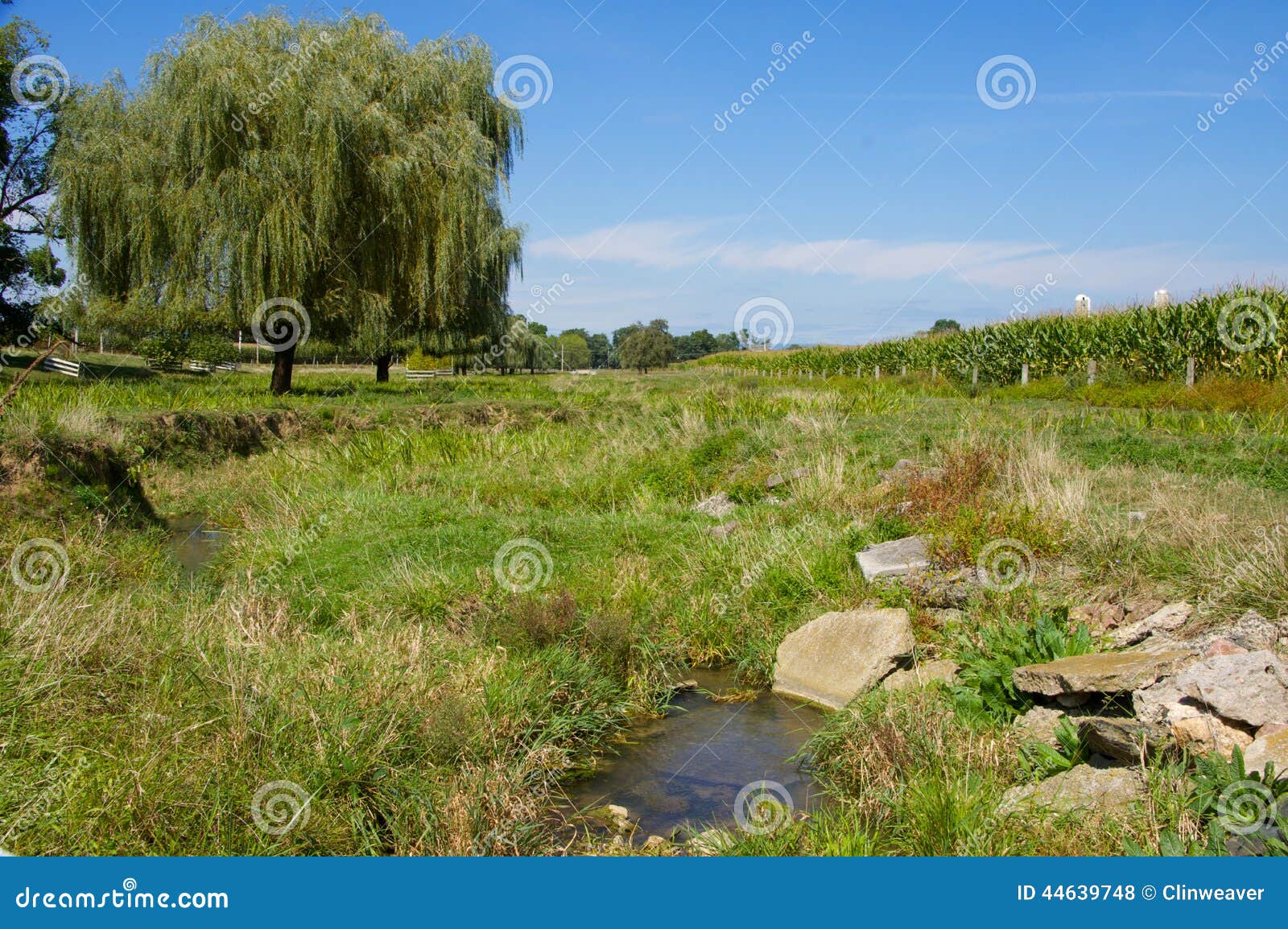 Meadow Stream stock photo. Image of farm, stream, grazing - 44639748