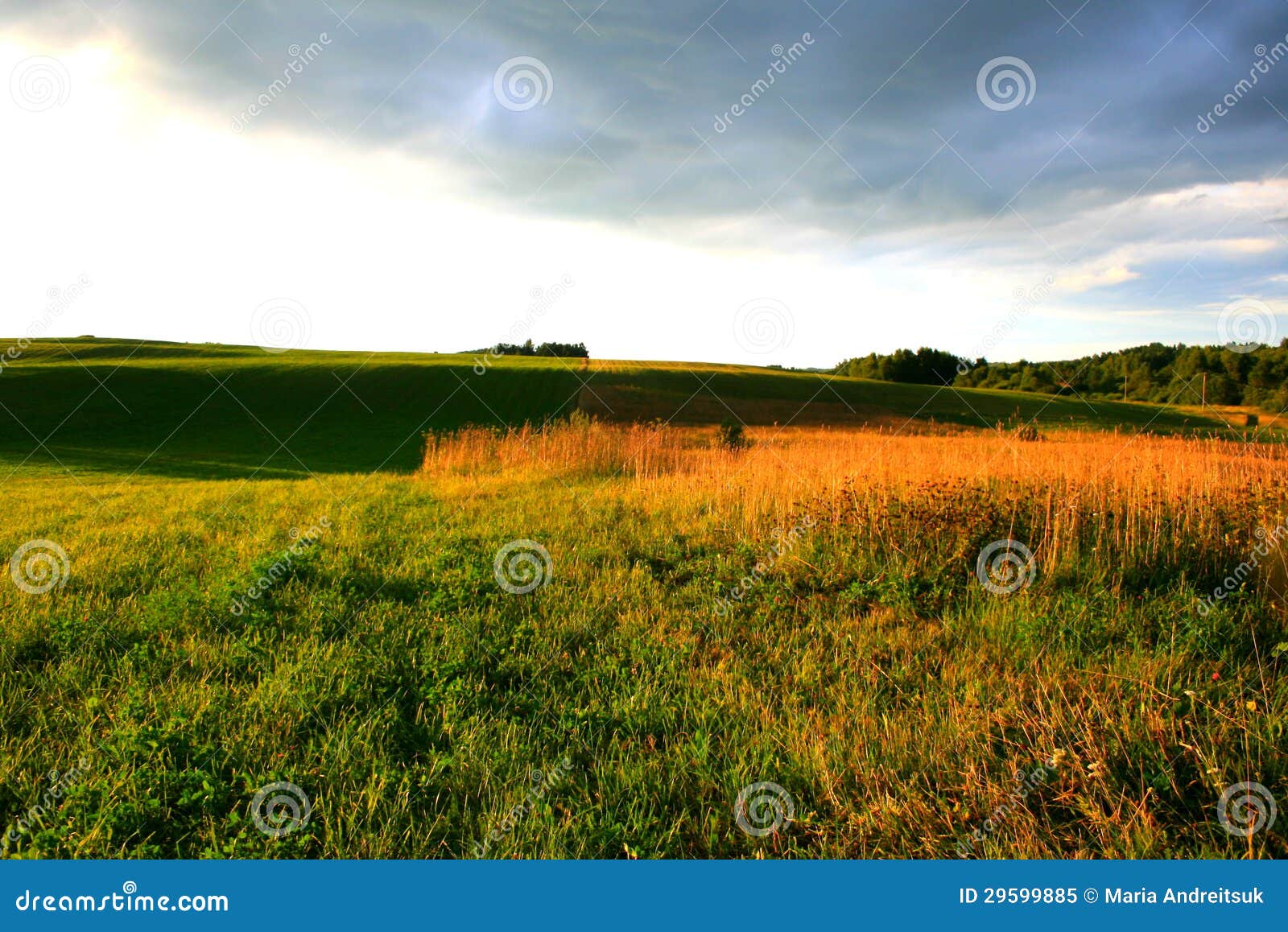 Meadow at Sunset stock image. Image of field, meadow - 29599885