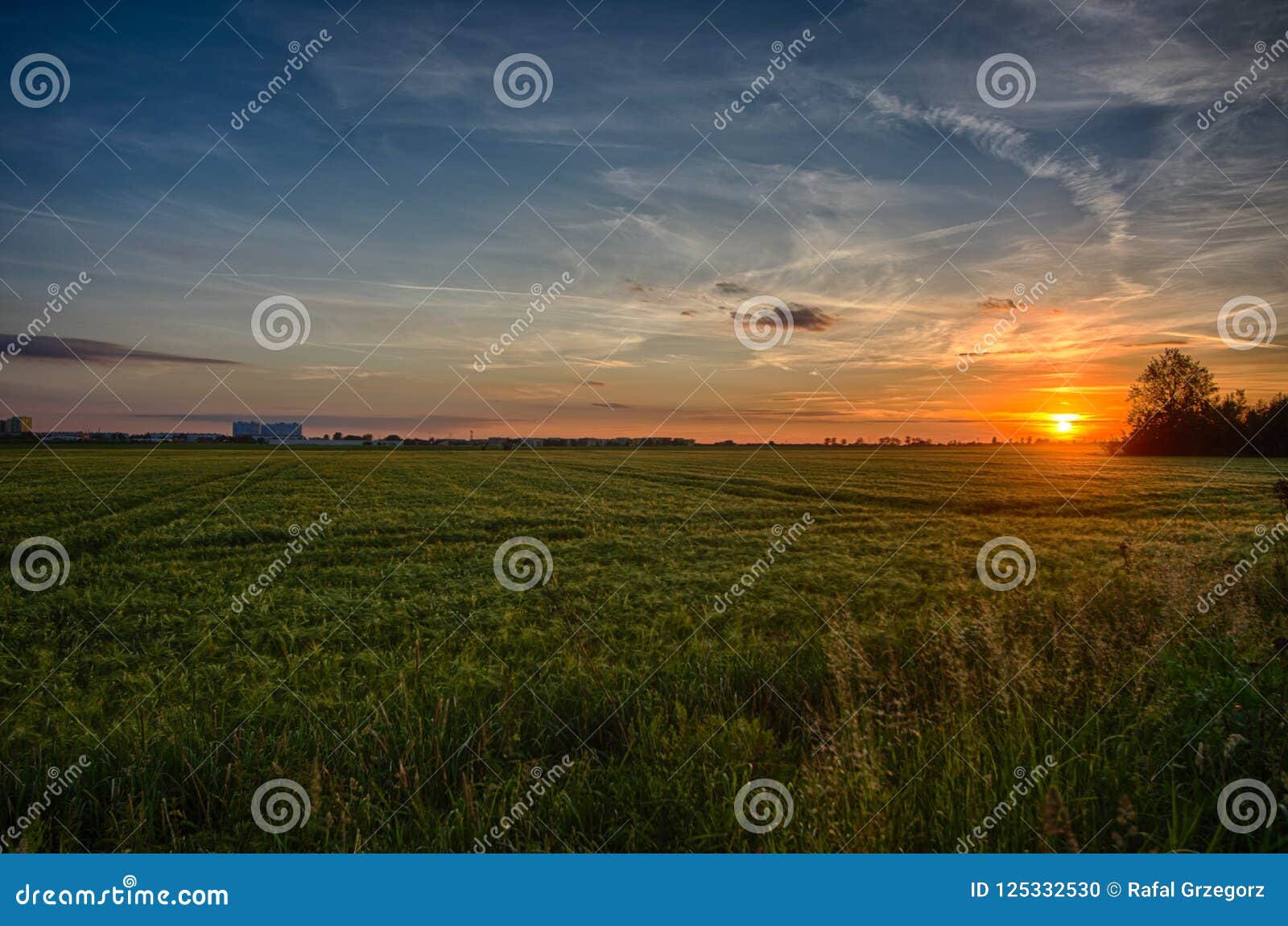 Meadow with Sunset in the Background Stock Photo - Image of city ...