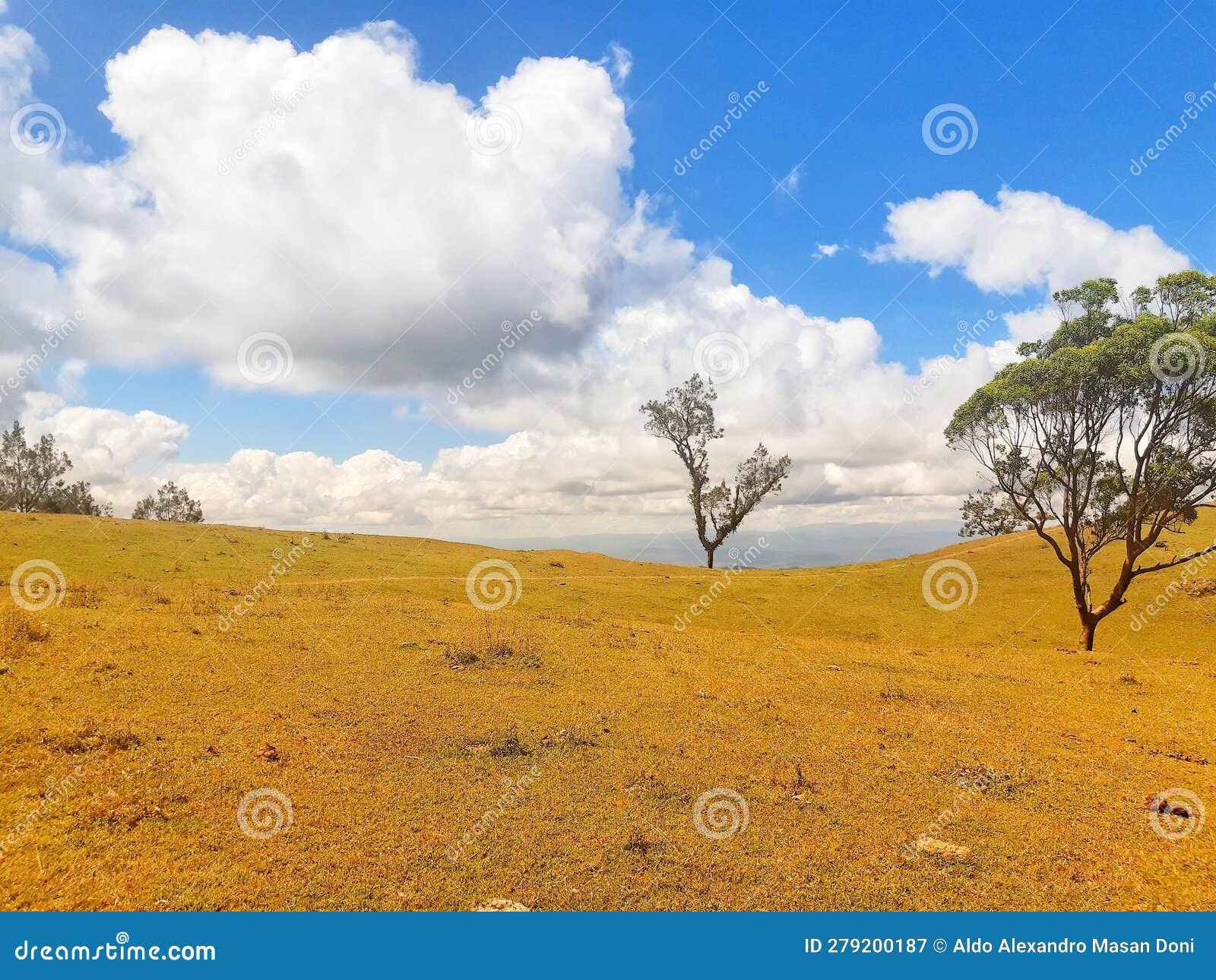 Meadow with a Tree on the Edge of a Cliff with Mountains and Clouds in ...