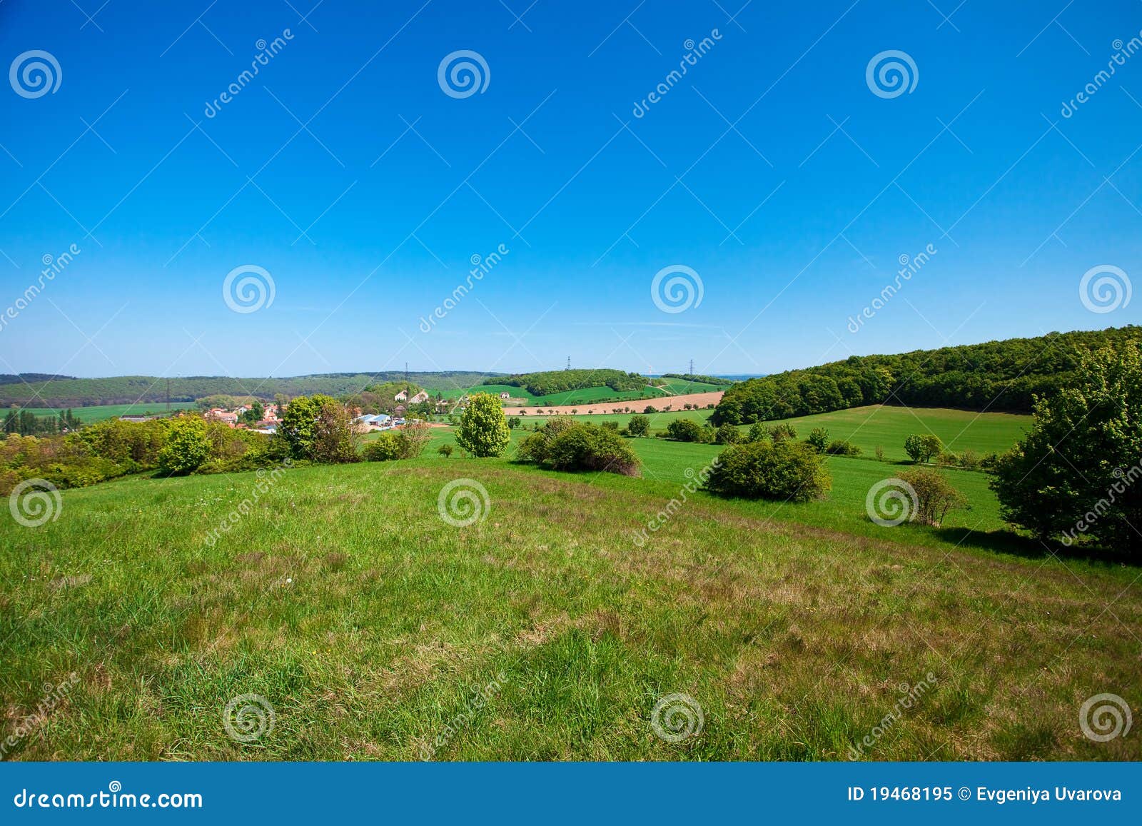 Meadow with trees stock image. Image of ridge, natural - 19468195