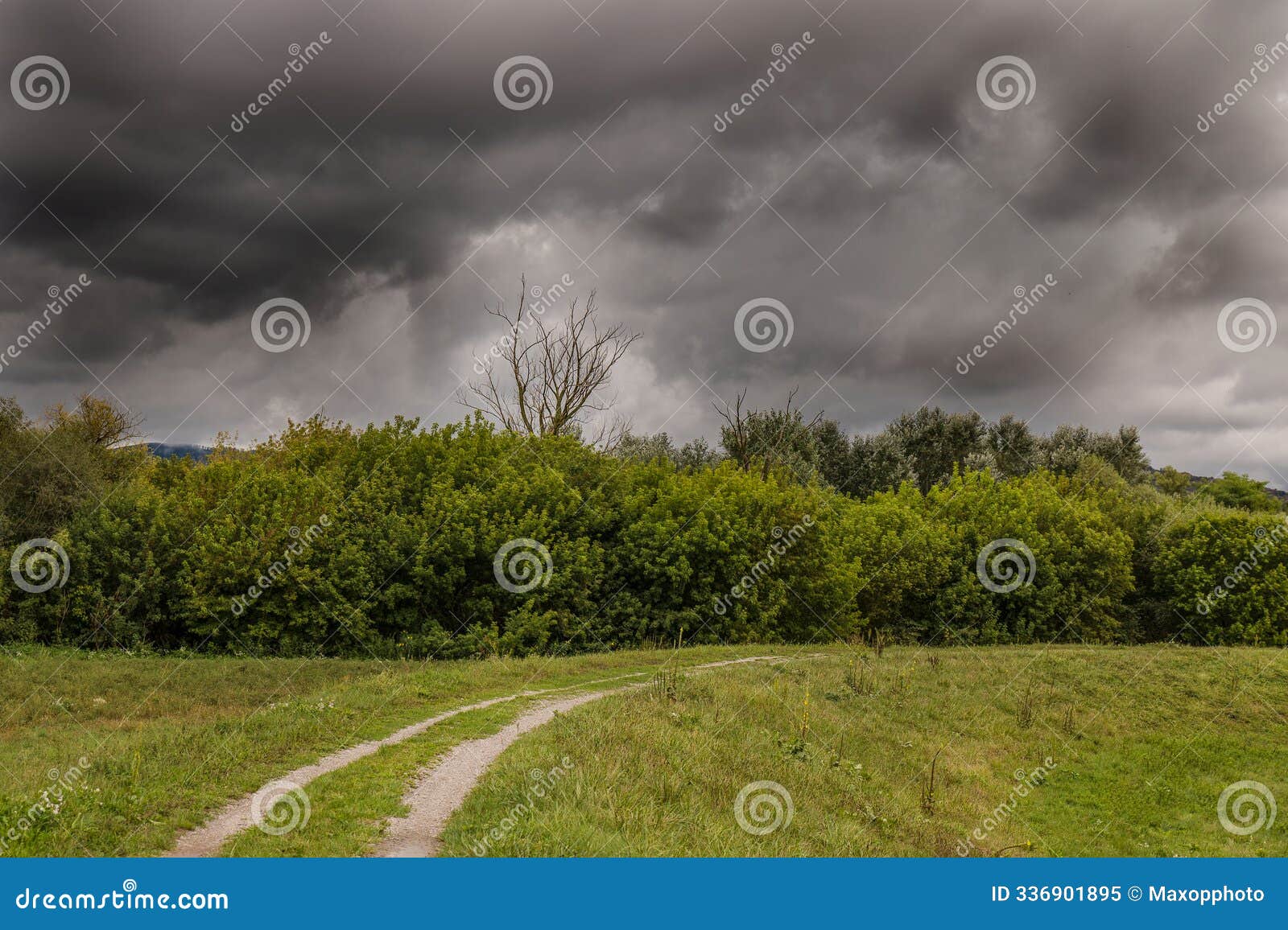 Meadow, Trees and Bushes with a Dramatic Stormy Sky. Climate Change ...