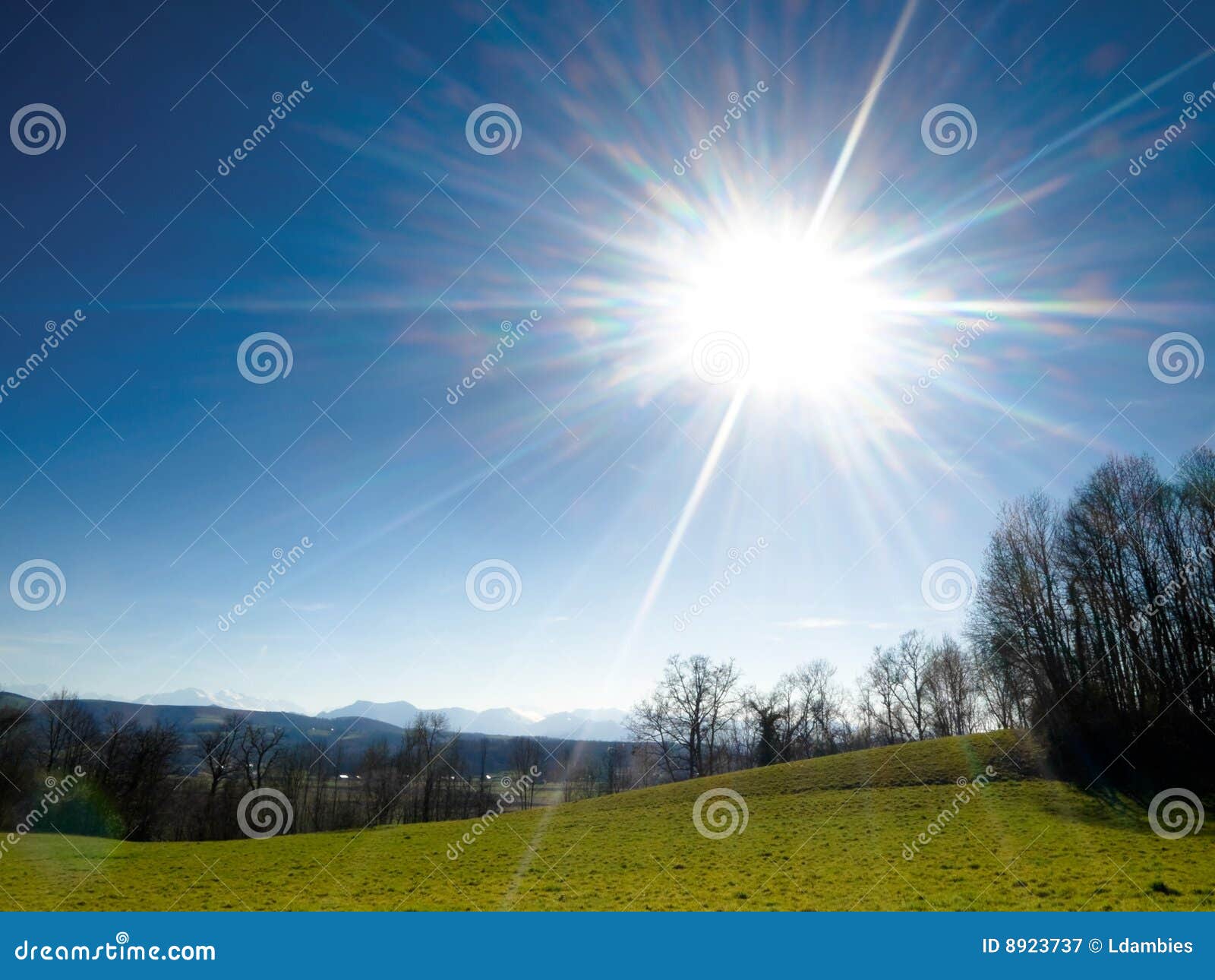 Meadow under spring sun stock image. Image of sunshine - 8923737