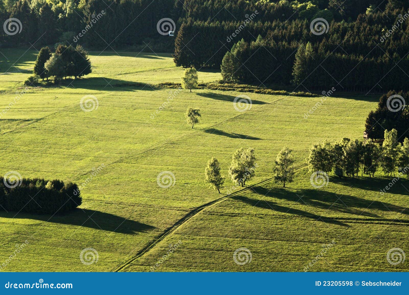 Meadow, way and forest stock photo. Image of aerial, high - 23205598