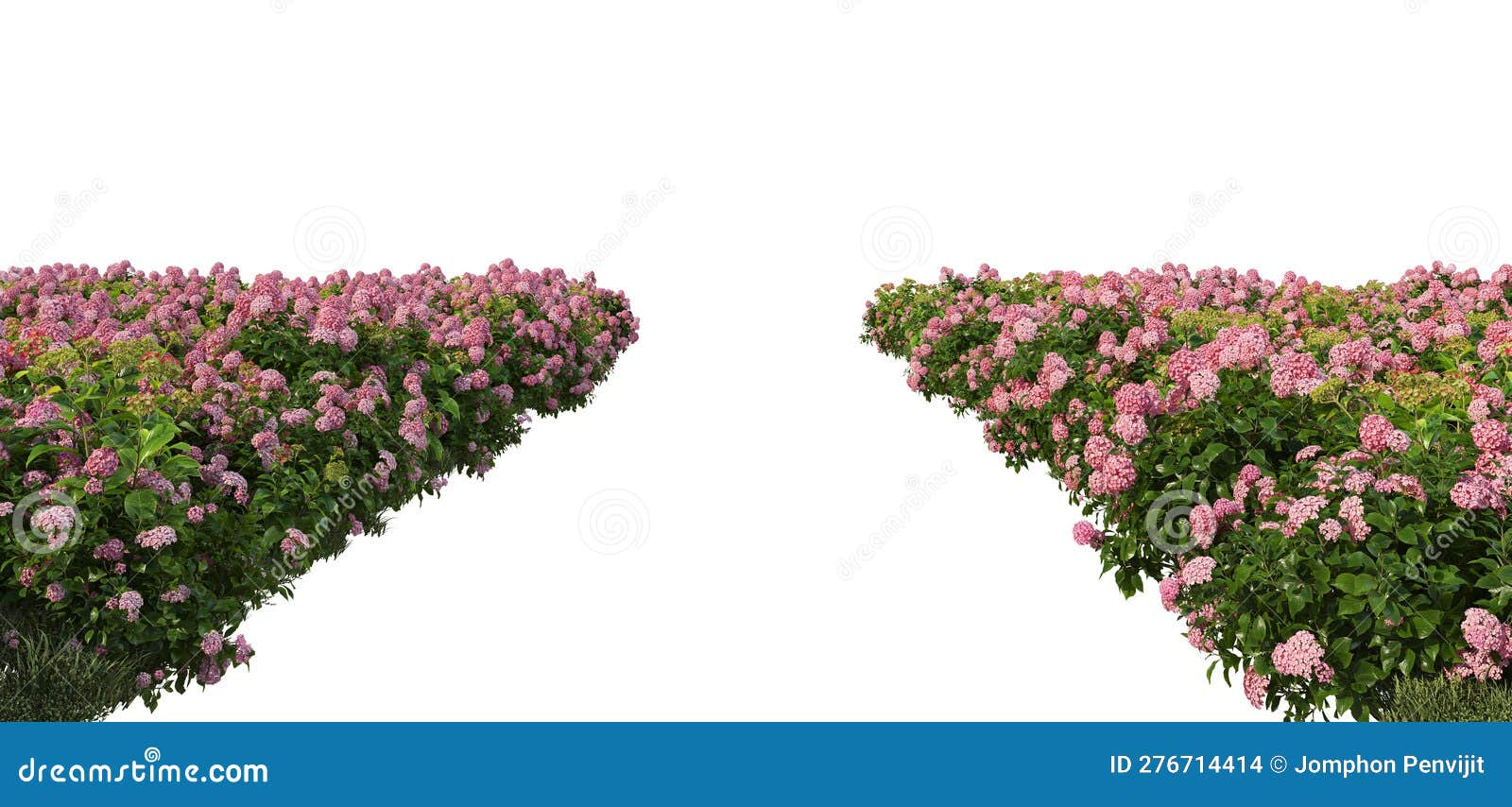 Meadow on a White Background Stock Illustration - Illustration of herb ...