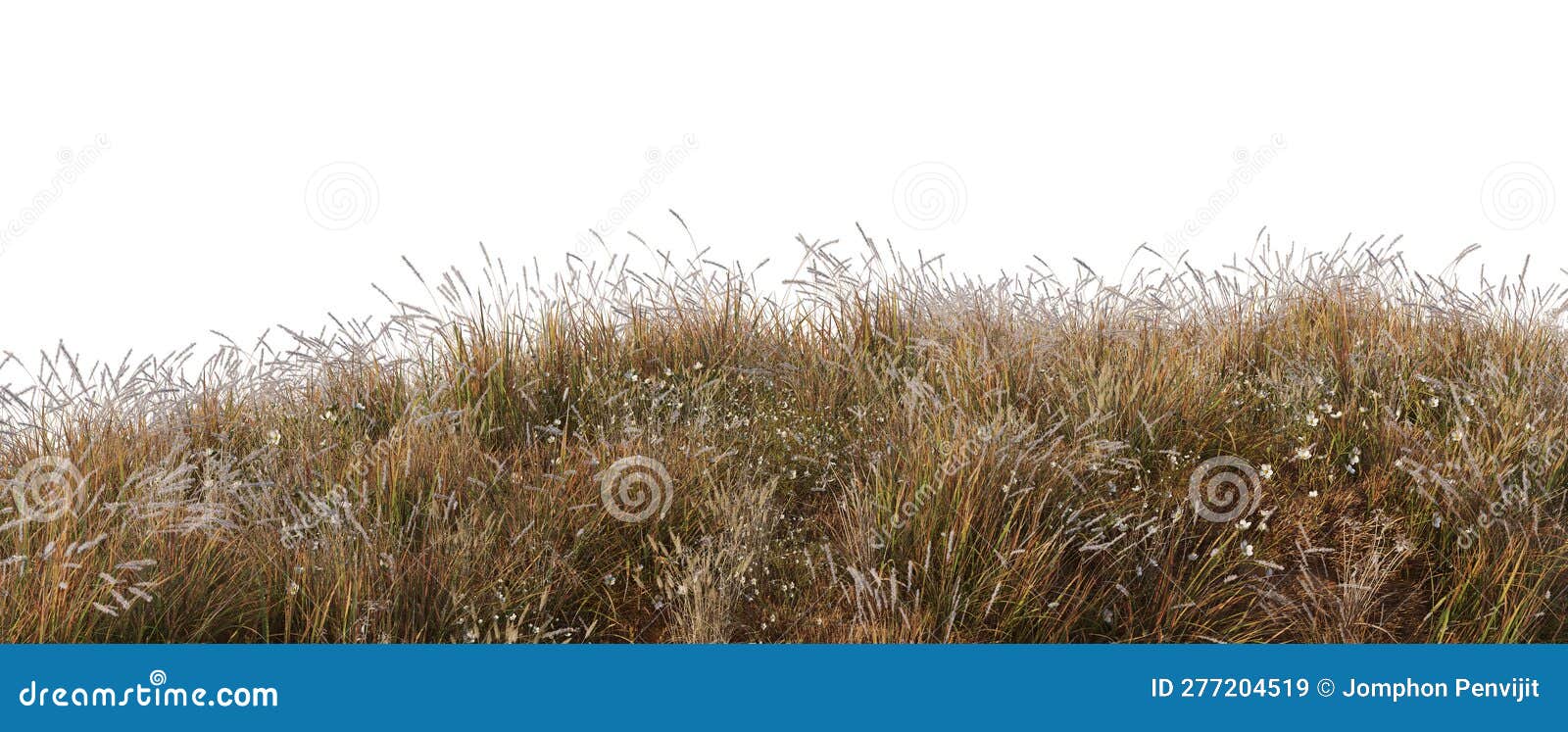 Meadow on a White Background Stock Illustration - Illustration of plant ...