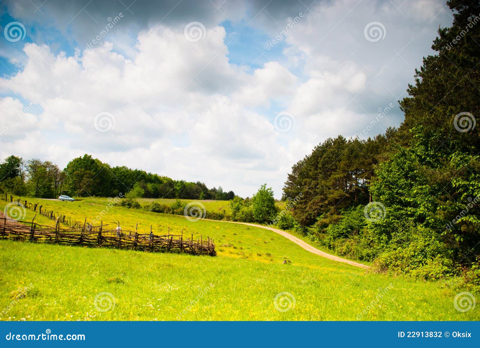 Meadow wide view stock photo. Image of landscape, agriculture - 22913832