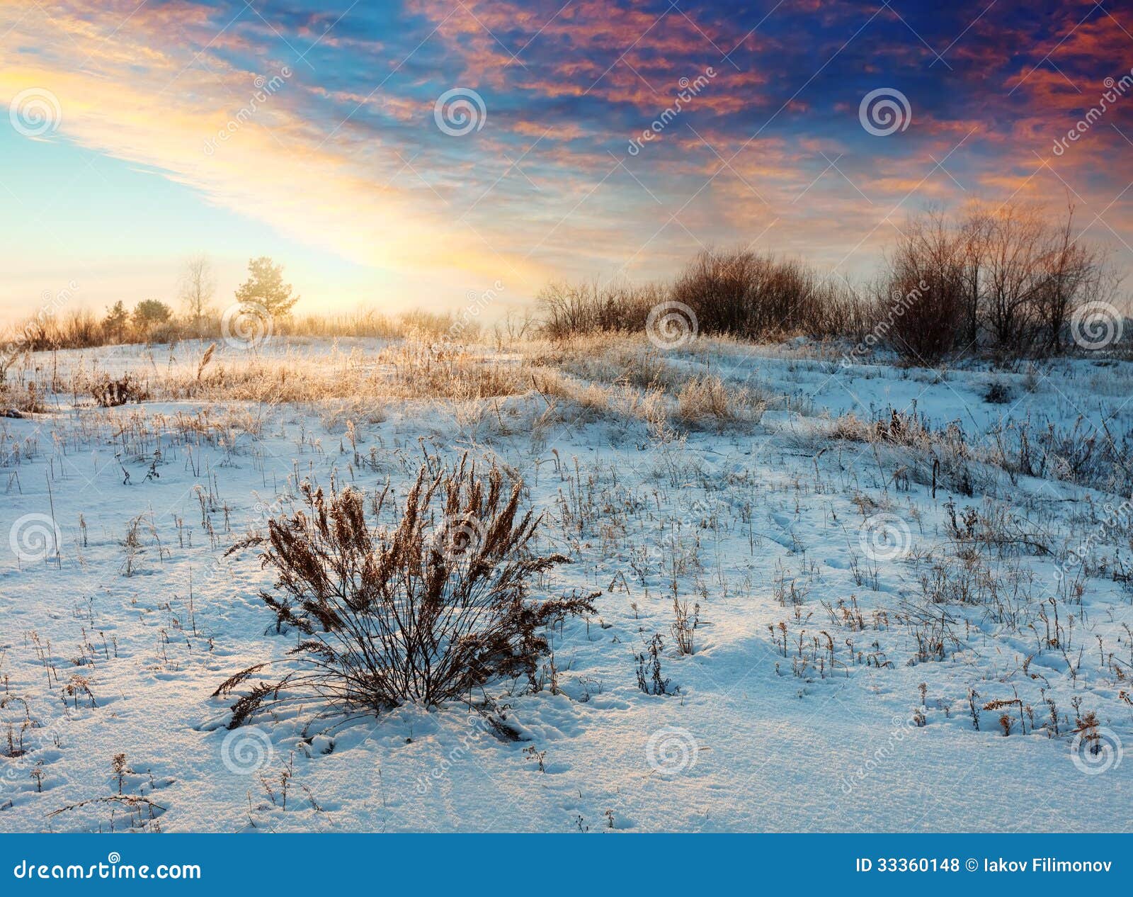Meadow in winter morning stock photo. Image of season - 33360148