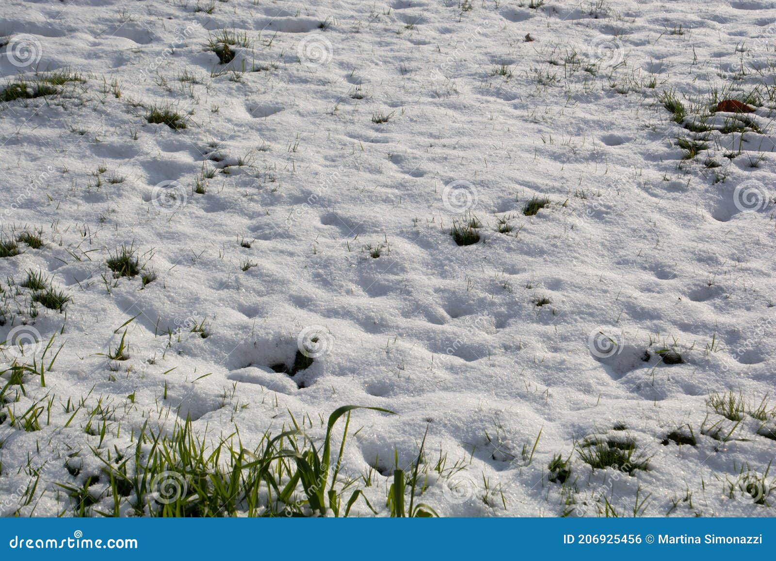 Meadow in Winter after Snowfall Covered with Bokeh Snow Stock Photo ...