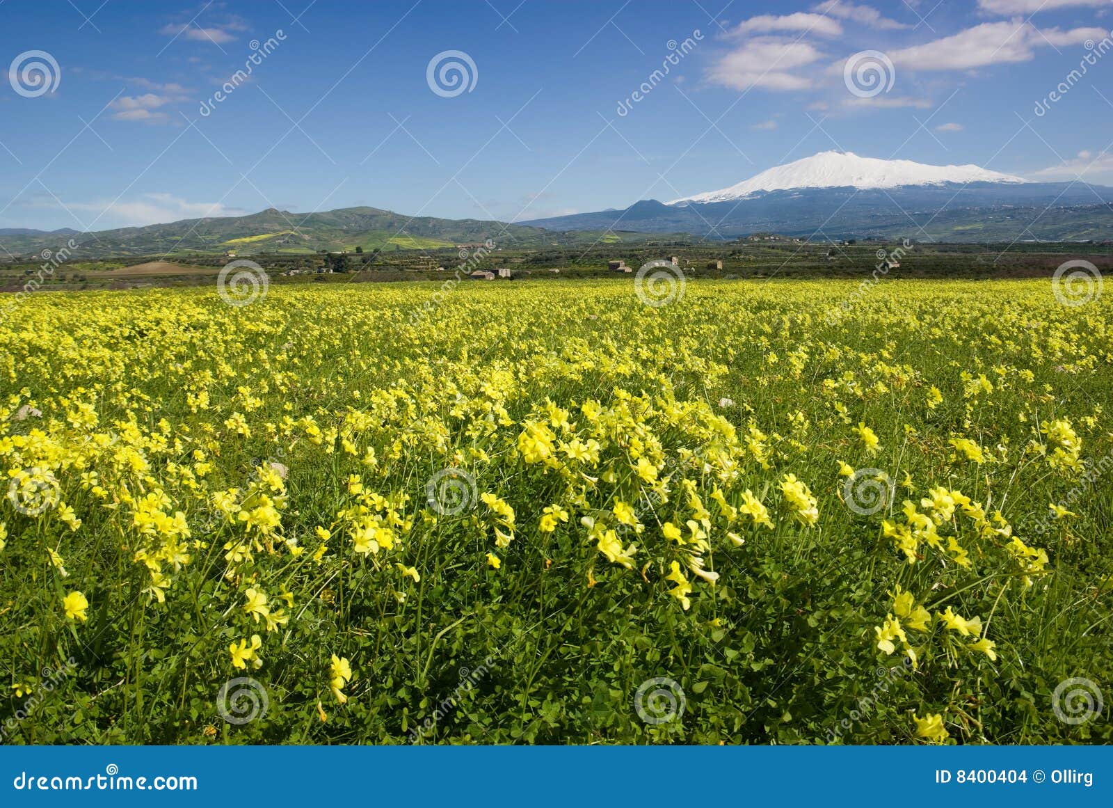 279 Background Blue Yellow Shamrock Stock Photos - Free & Royalty-Free ...
