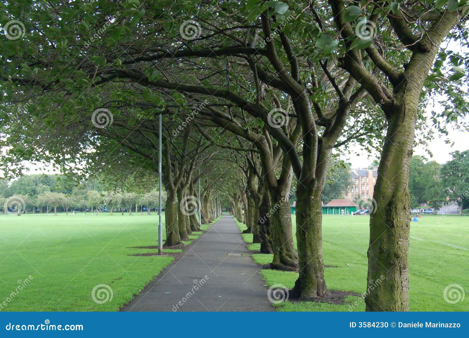 The meadows, edinburgh stock photo. Image of park, edinburgh - 3584230