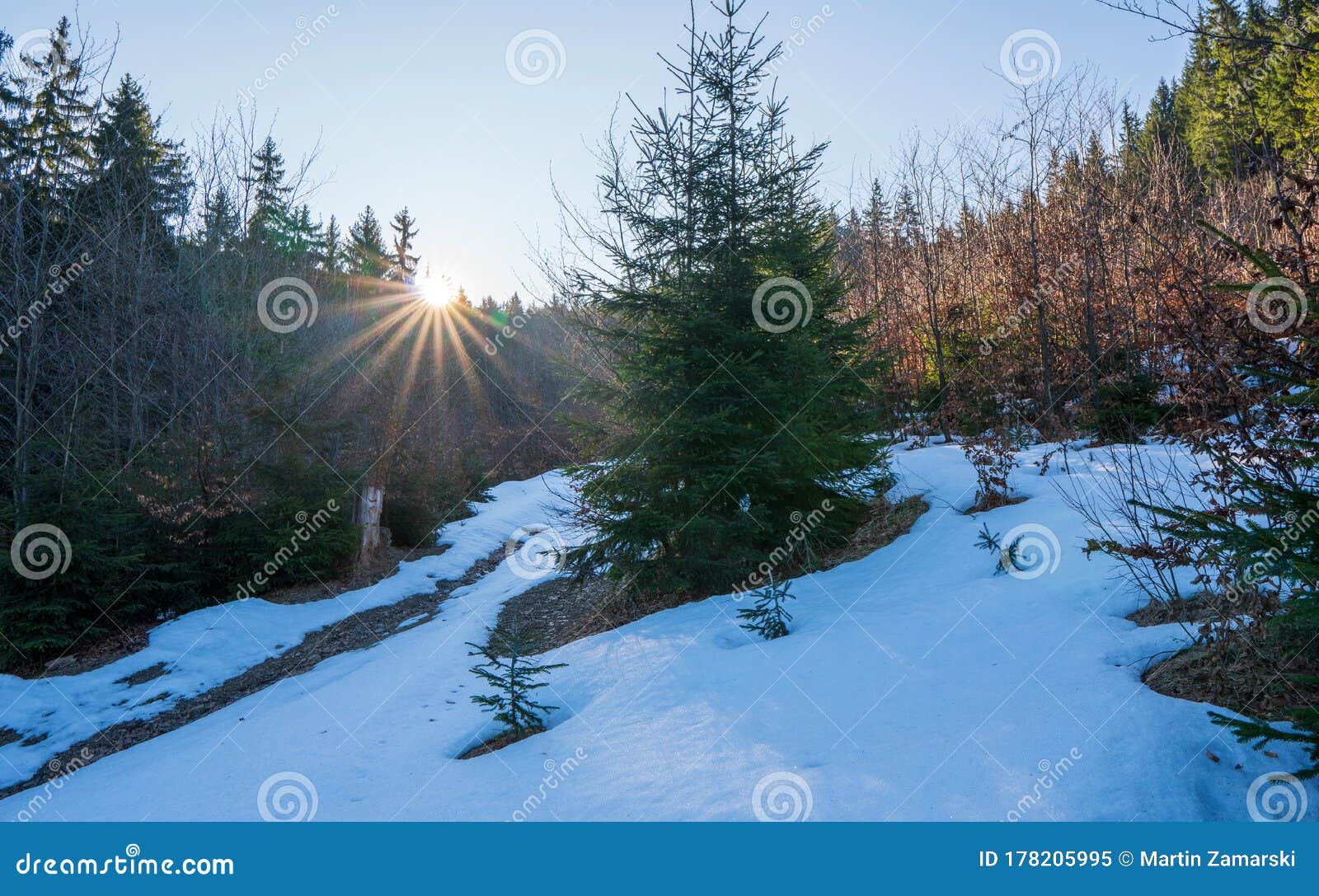 Meadows at the End of Winter with Snow and Mountains in the Background ...