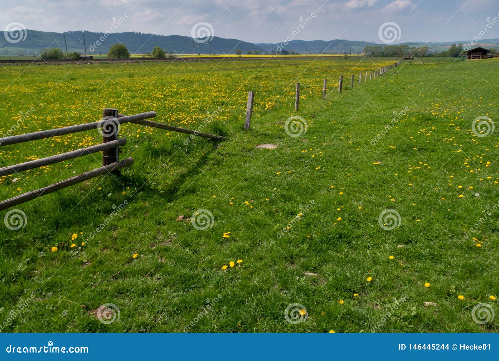 Meadows and Fields in the Countryside Stock Photo - Image of summer ...